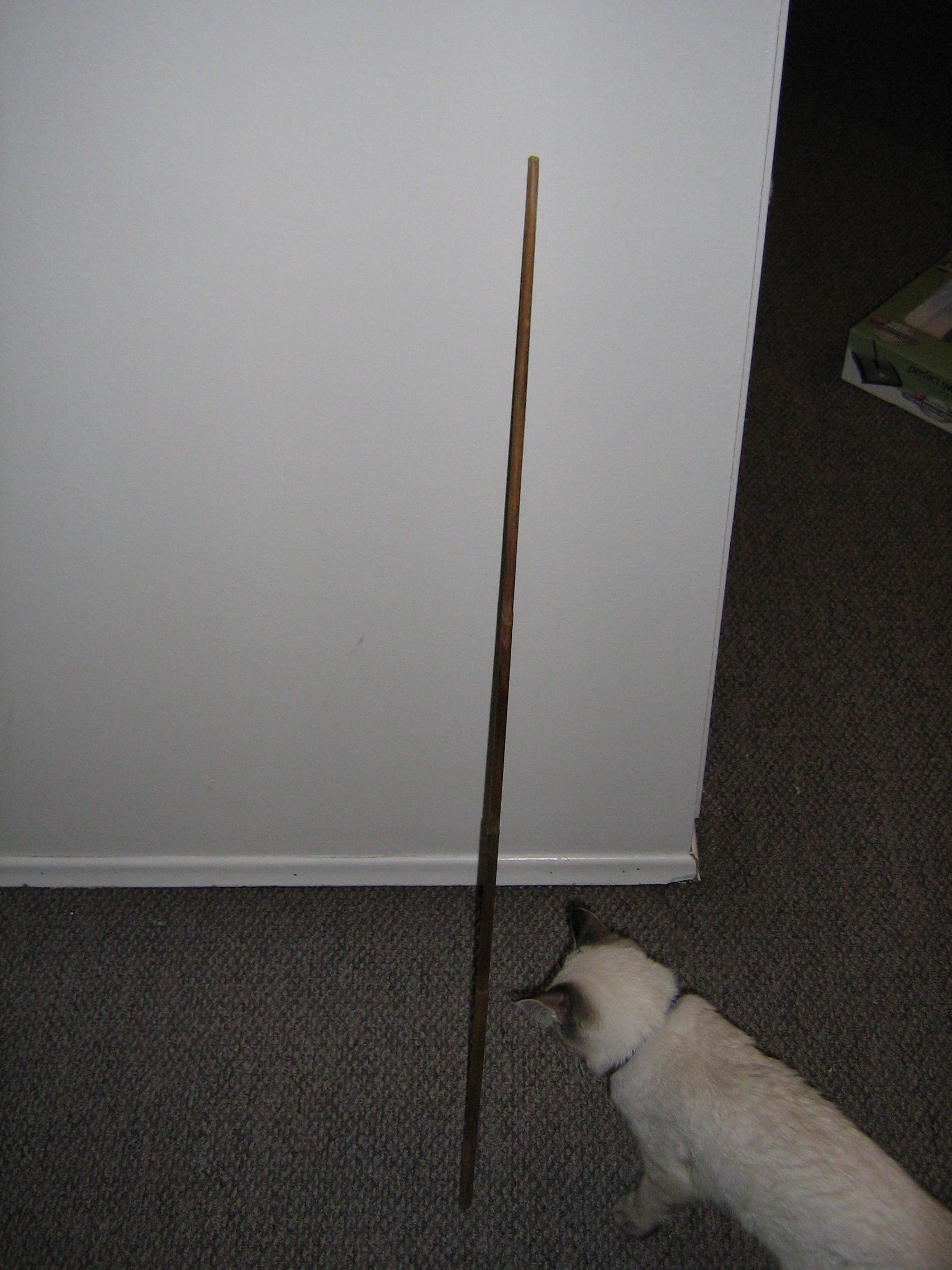Make a Calligraphy Pen Out of a Bulrush (cattail) Reed : 11 Steps (with ...