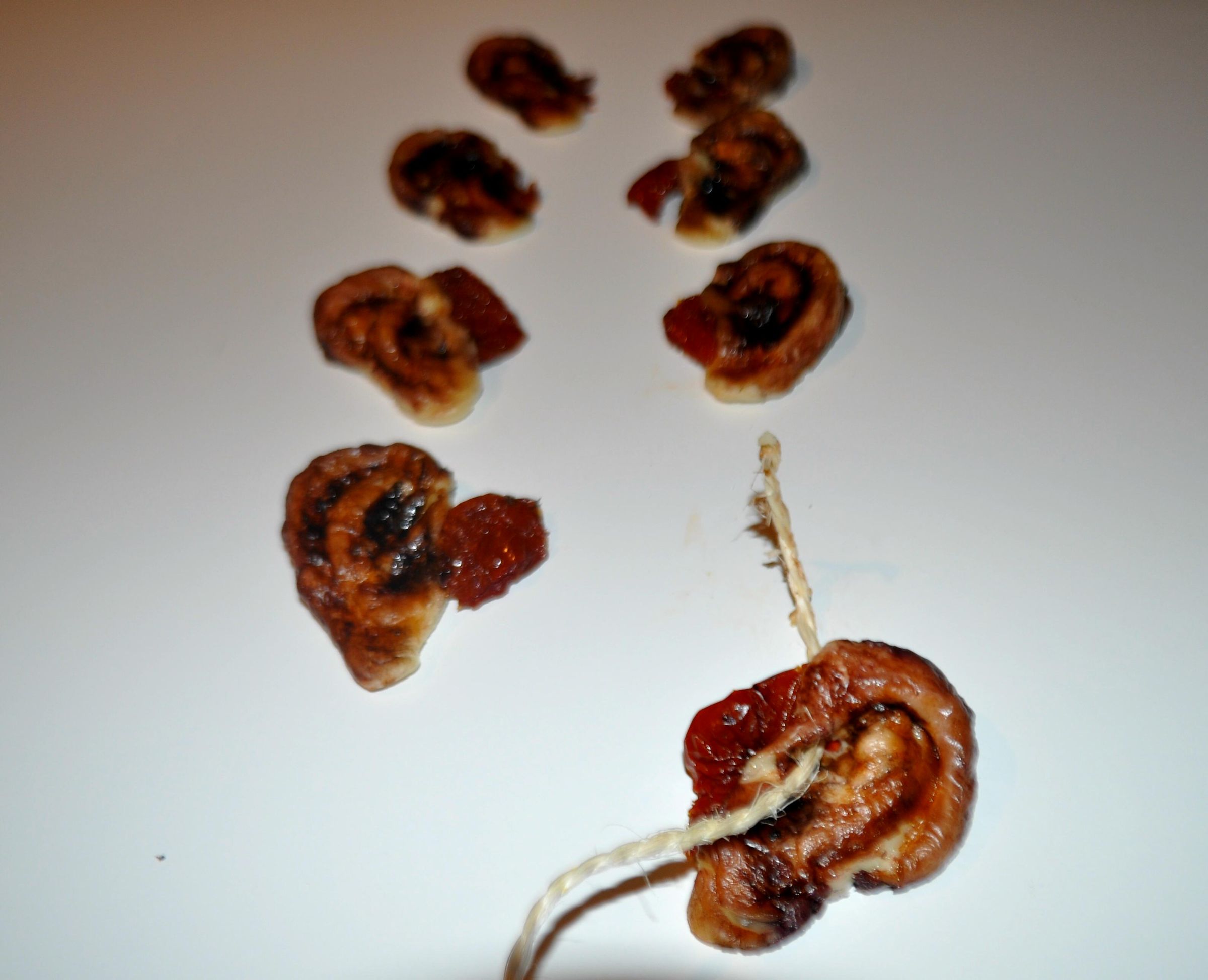 Zombie-Ear Necklace Snack (The Walking Dead) : 7 Steps (with Pictures ...