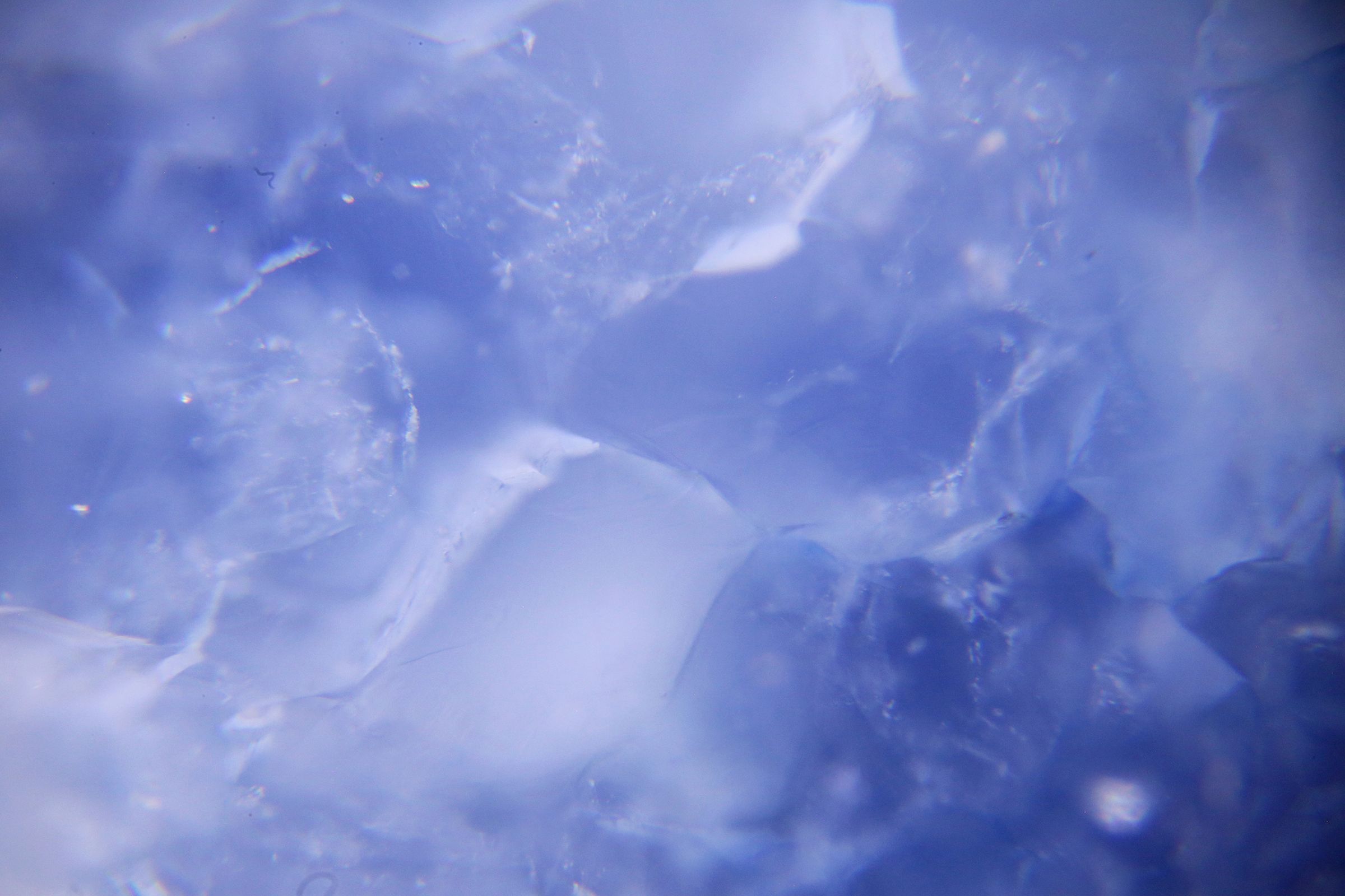 DSLR Microphotography : 12 Steps (with Pictures) - Instructables