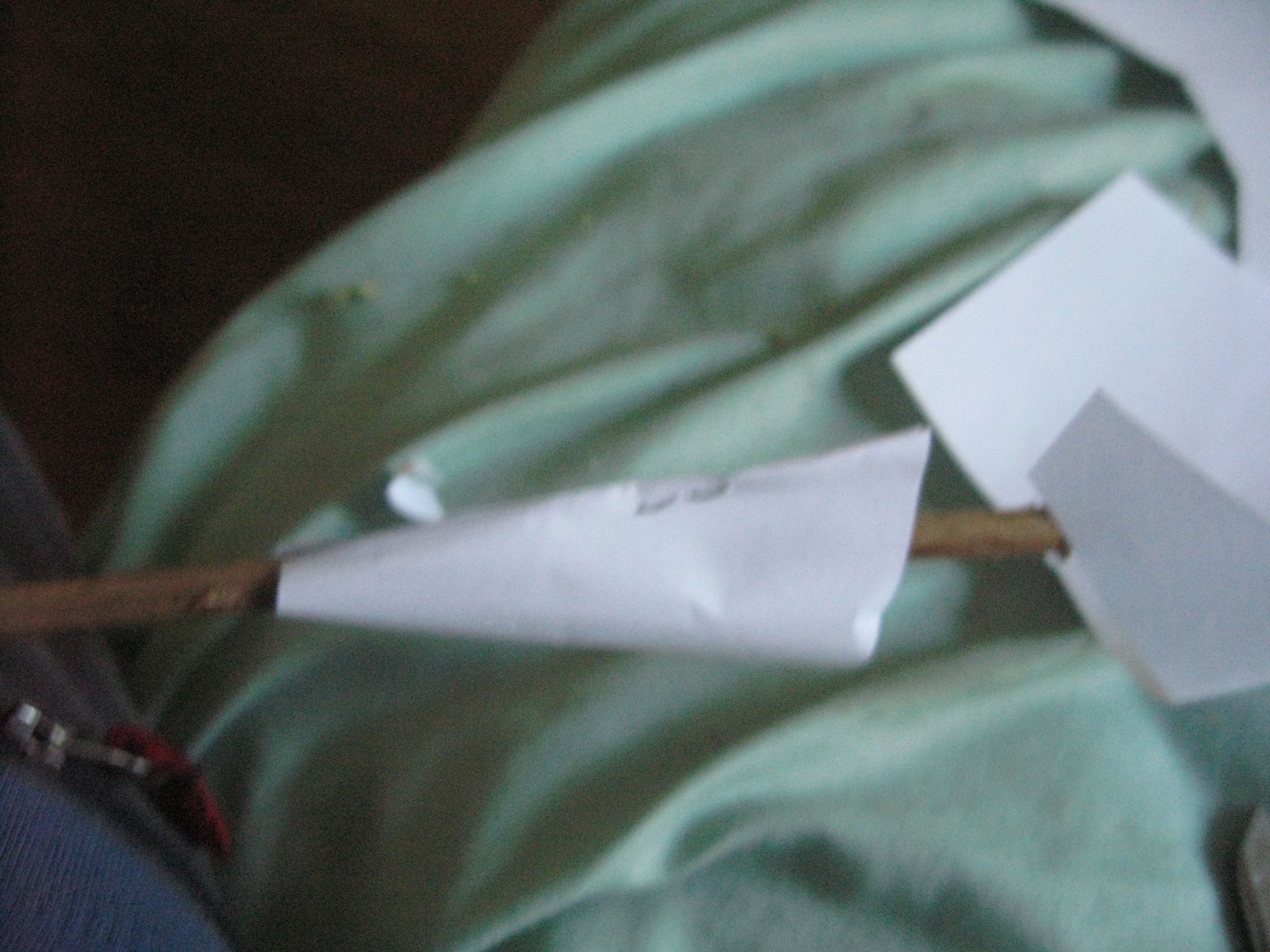 How to Make a Survival Bow and Arrow : 6 Steps - Instructables