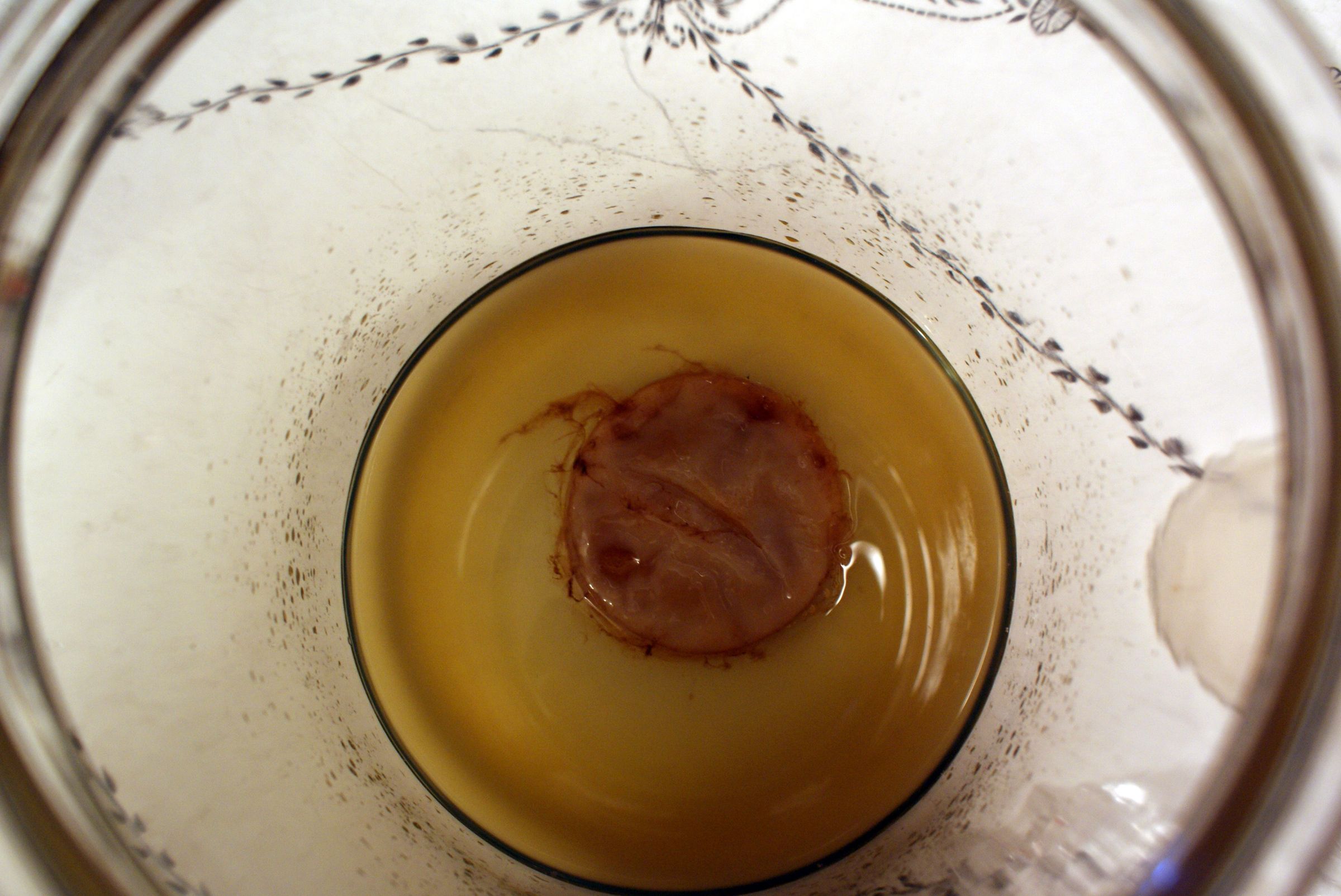 How to Brew Kombucha Tea : 10 Steps (with Pictures) - Instructables