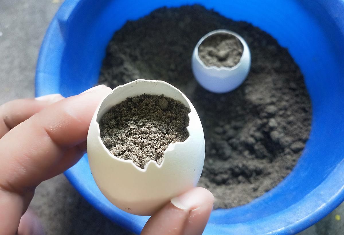 Egg Shell Planter | Gardening : 5 Steps (with Pictures) - Instructables