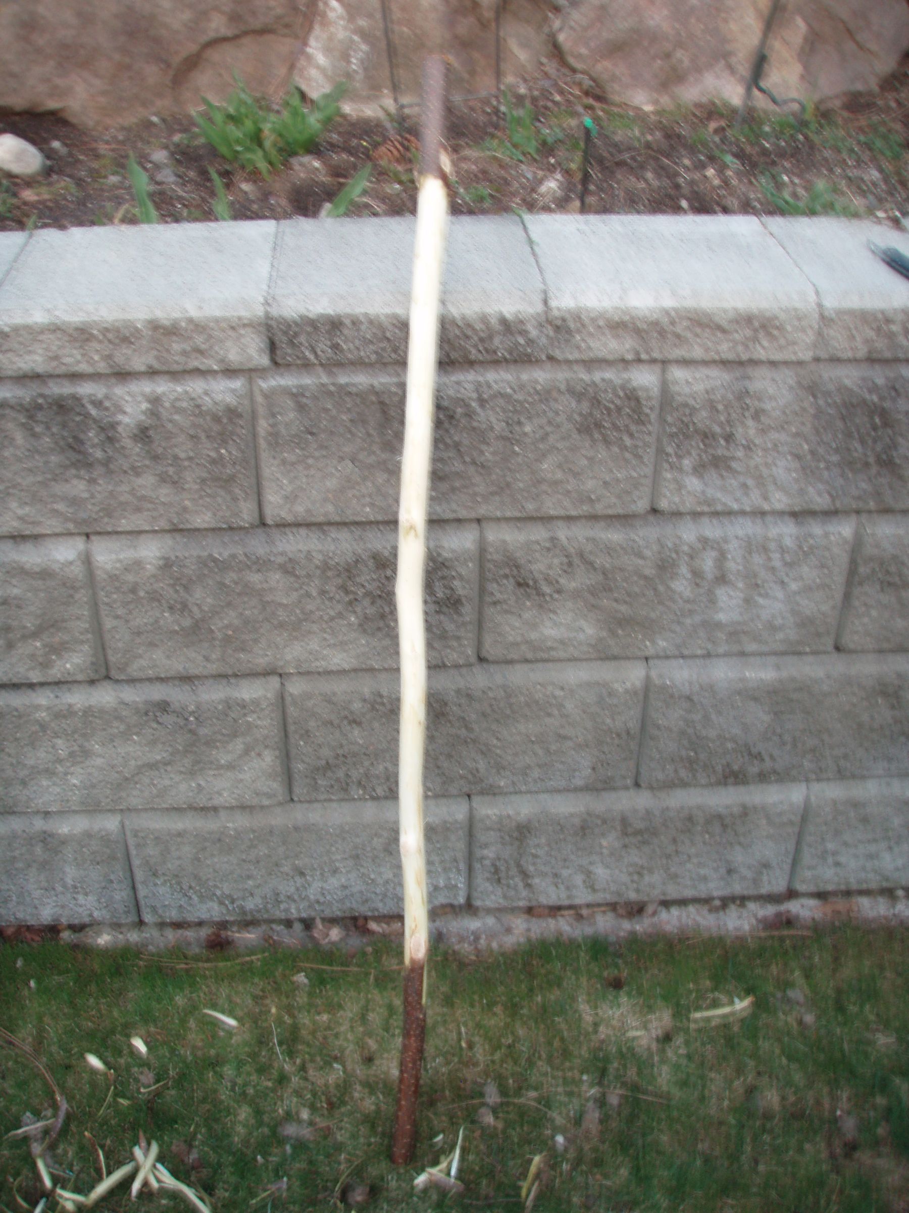 Carve a Staff / Walking Stick : 16 Steps (with Pictures) - Instructables