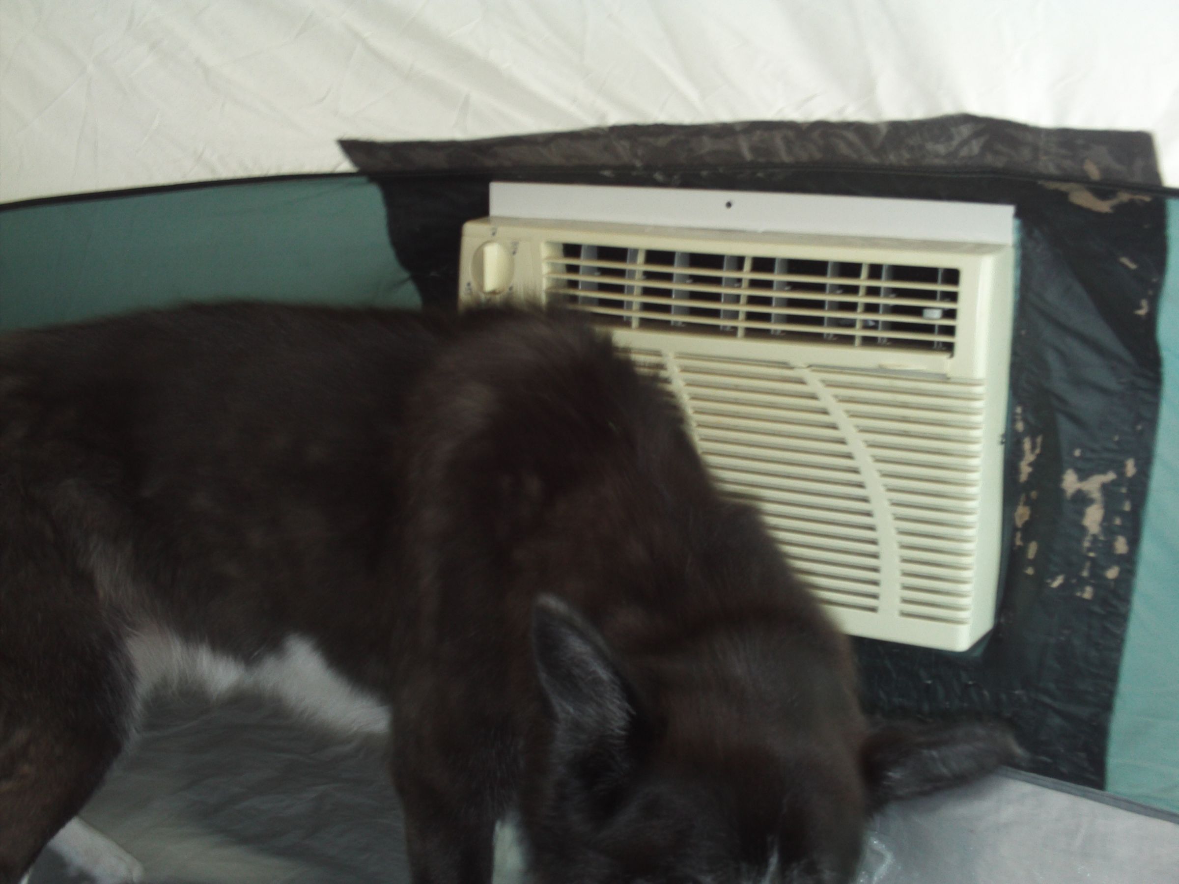 Air Conditoned Tent for Those Hot Months : 6 Steps (with Pictures ...