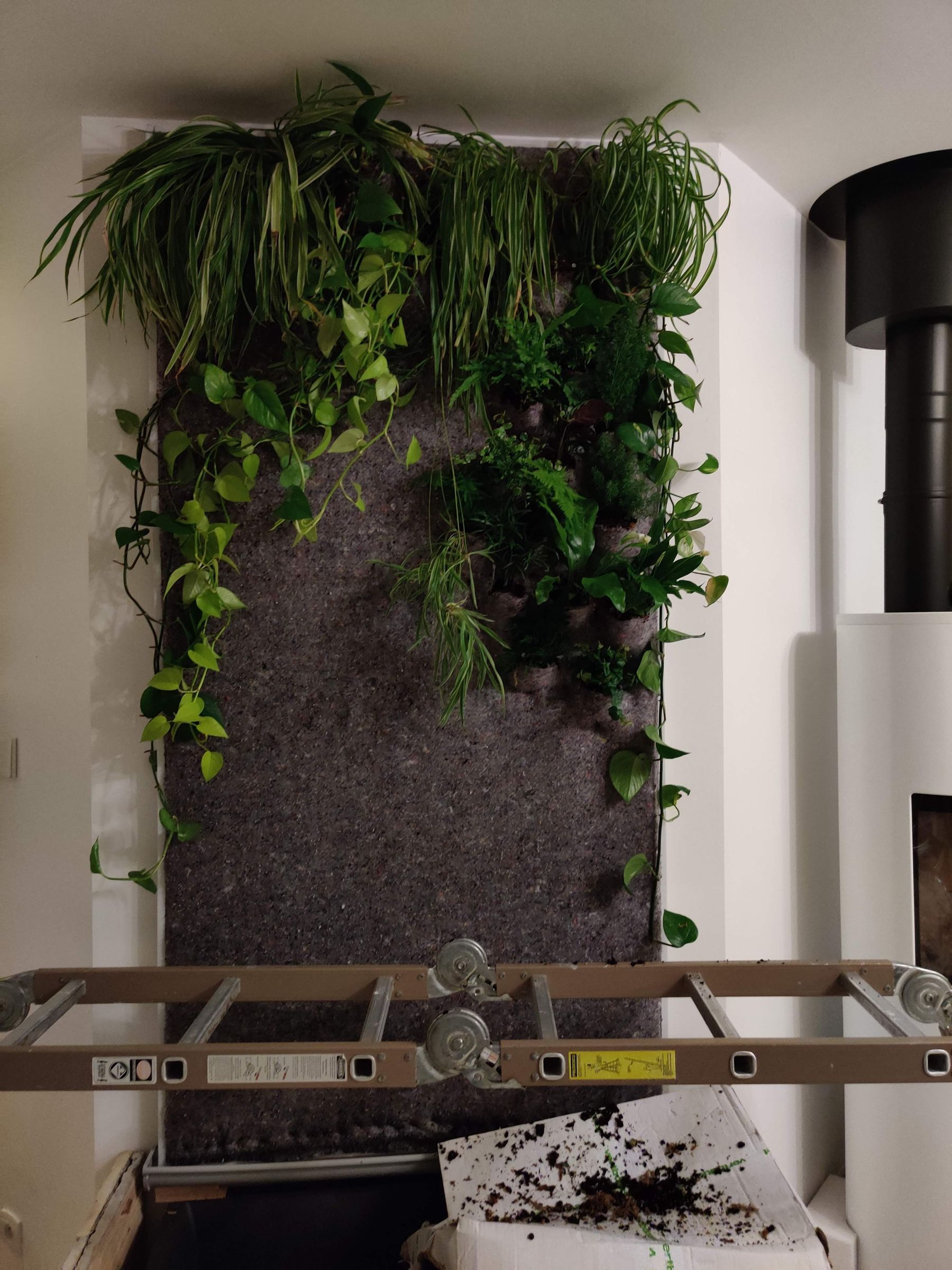 Indoor Green Wall : 5 Steps (with Pictures) - Instructables