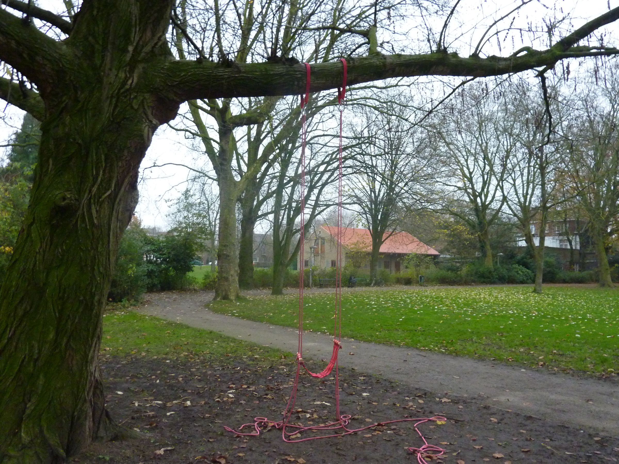 Tree Swing : 8 Steps (with Pictures) - Instructables