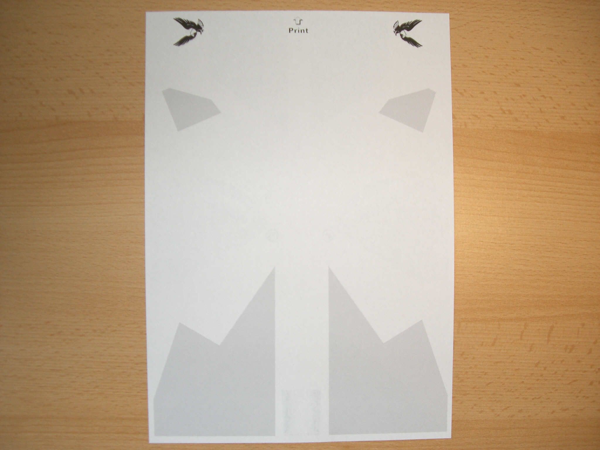 The Eagle Jet Paper Airplane "you Cannot Hide" ;-) : 8 Steps ...