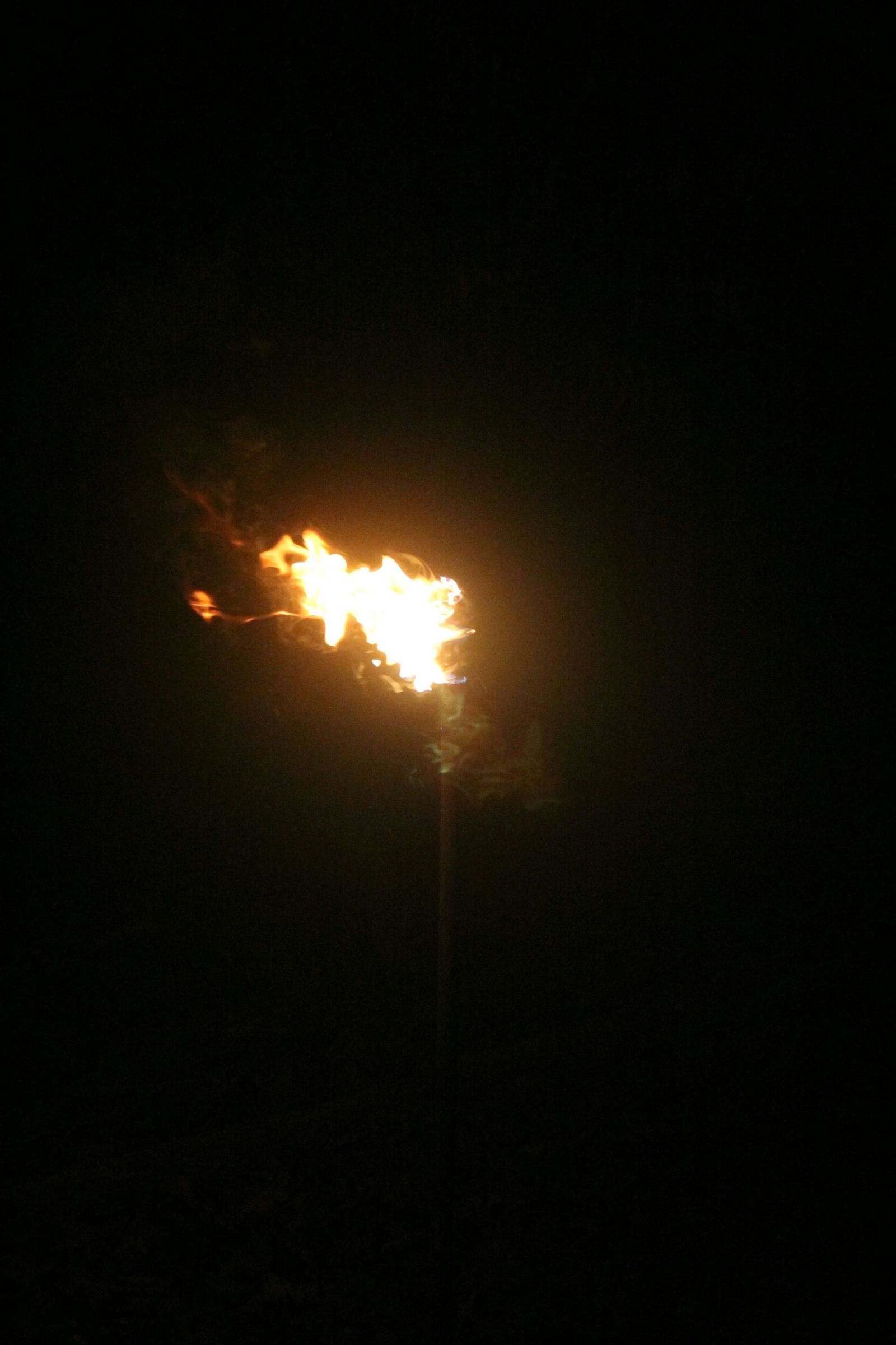 Simple Flaming Torch : 4 Steps - Instructables