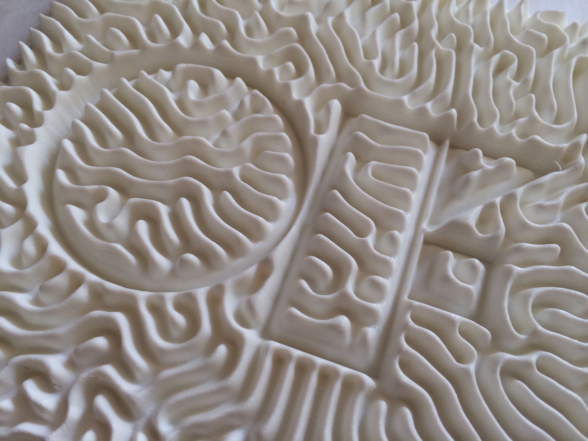 3D Printed Reaction Diffusion Patterns : 4 Steps (with Pictures ...
