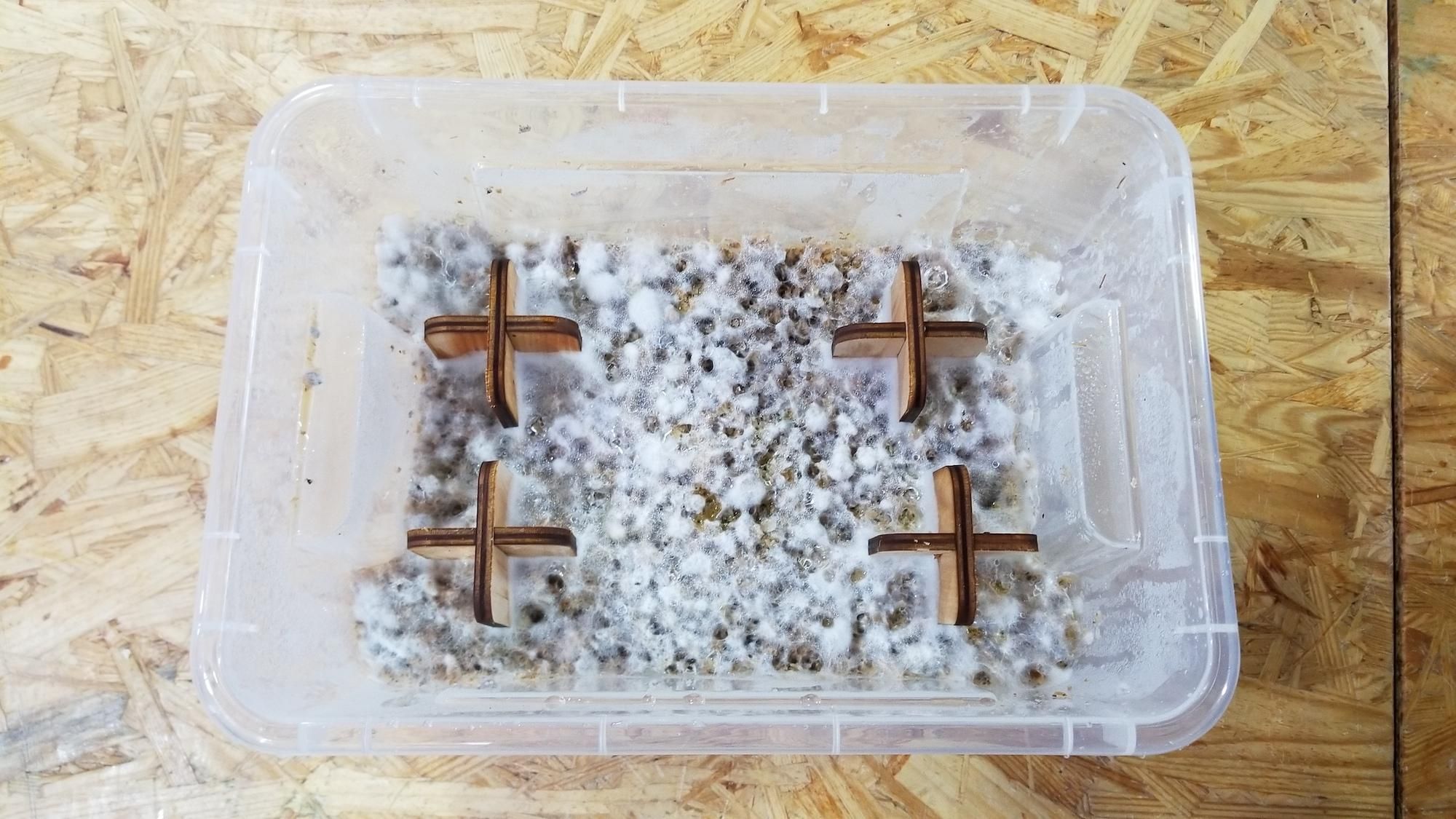 Mycelium Stool (prototype) : 8 Steps - Instructables