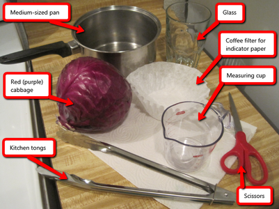 Red Cabbage PH Indicator : 14 Steps - Instructables