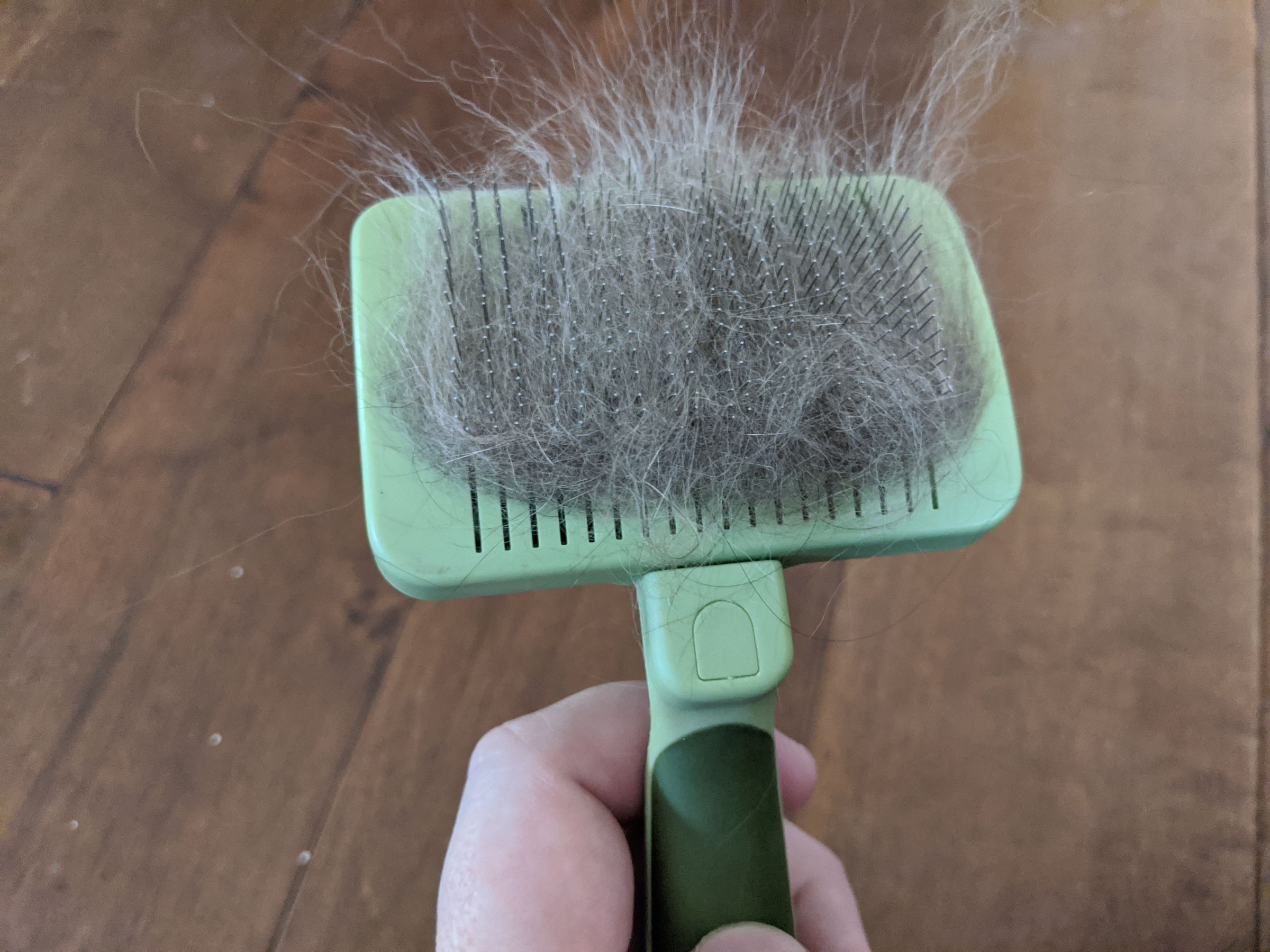 Felted Cat Fur Cat Hat : 3 Steps (with Pictures) - Instructables