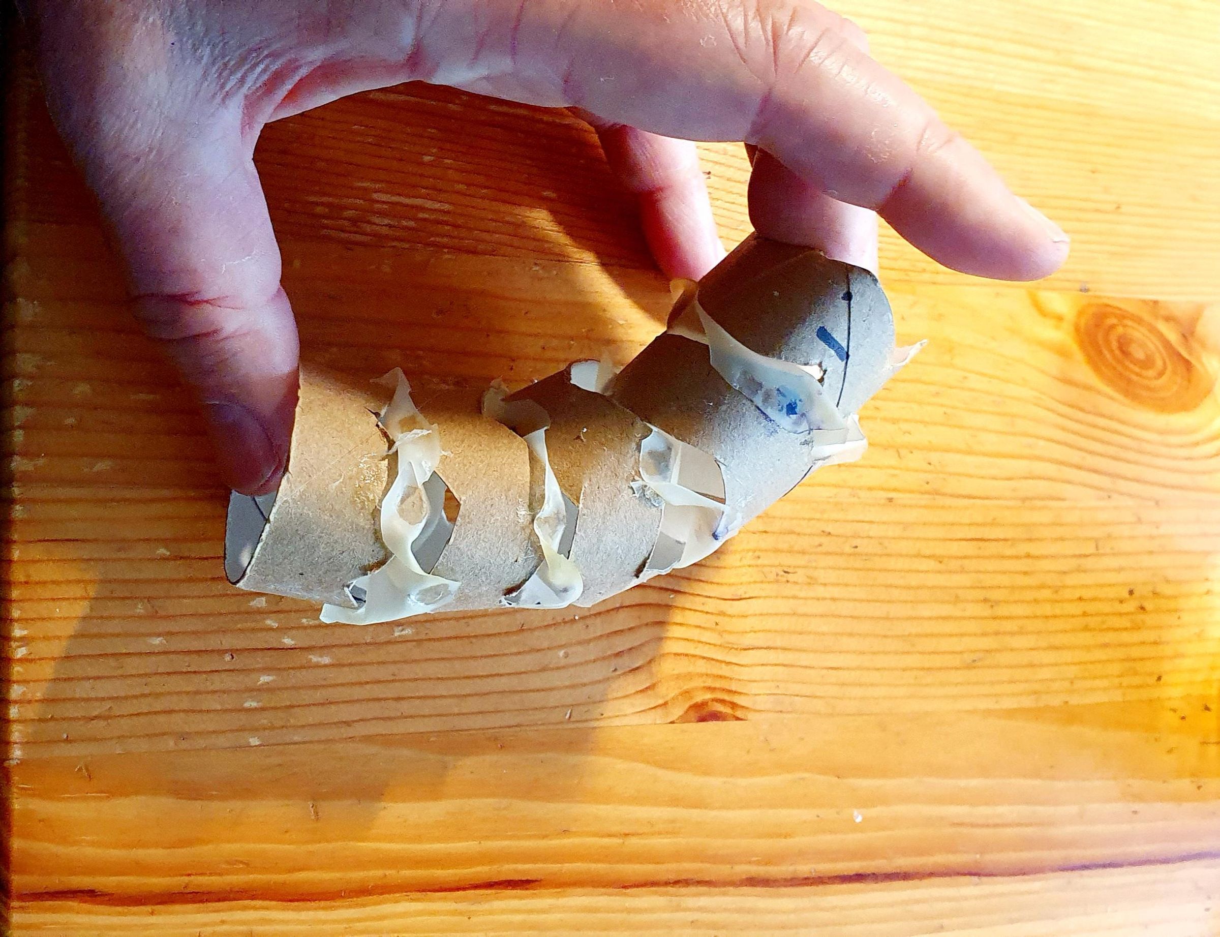 Tensegrity Back Bone Model : 3 Steps - Instructables