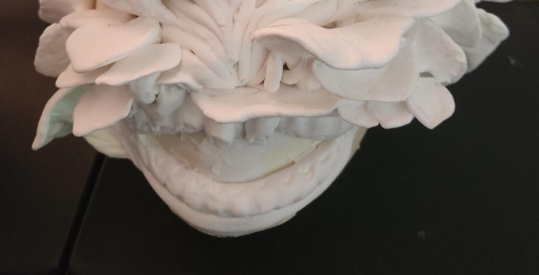 The Last of Us Clicker Mask : 13 Steps (with Pictures) - Instructables