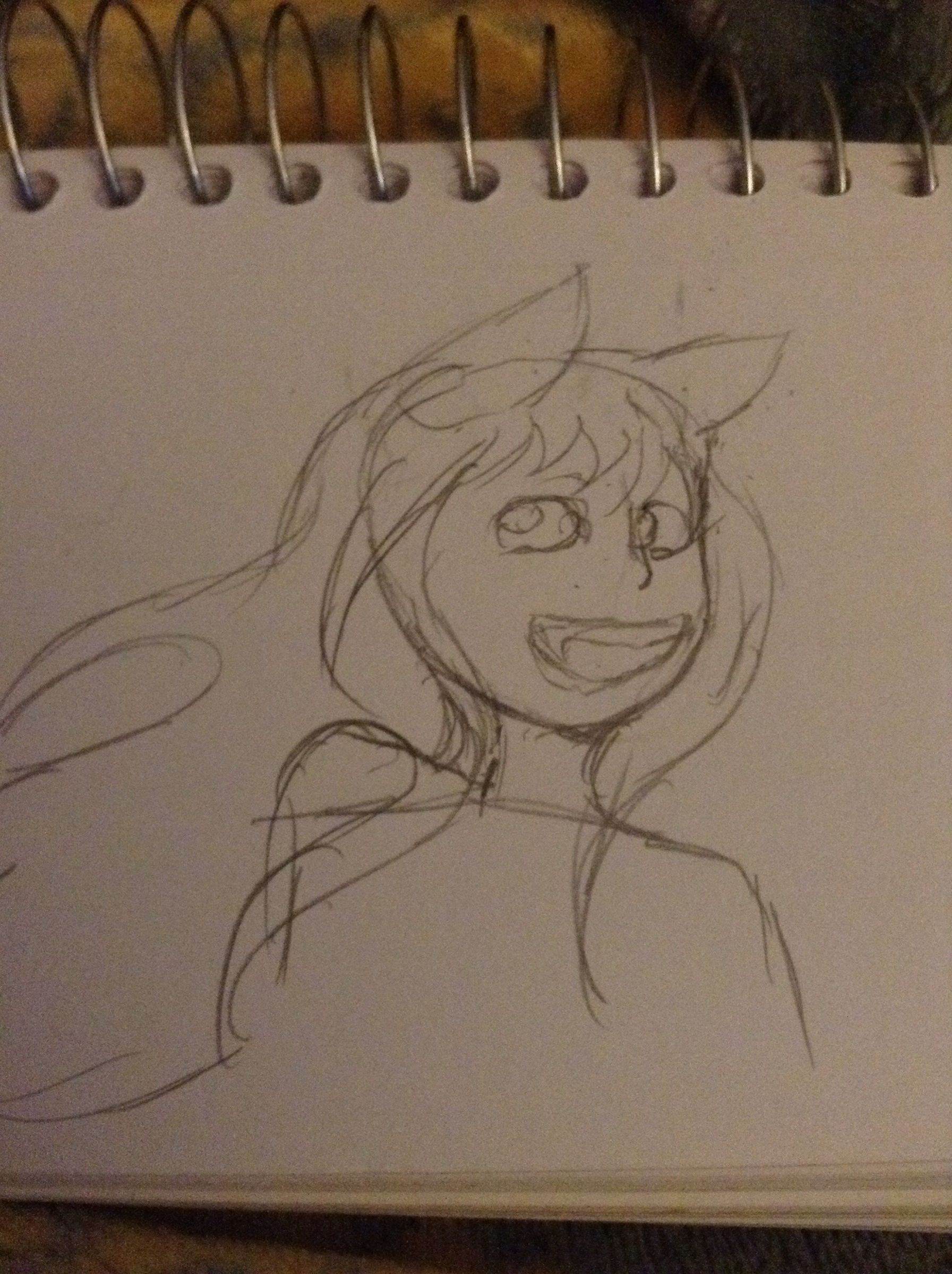 Lets Draw Holo! : 5 Steps - Instructables