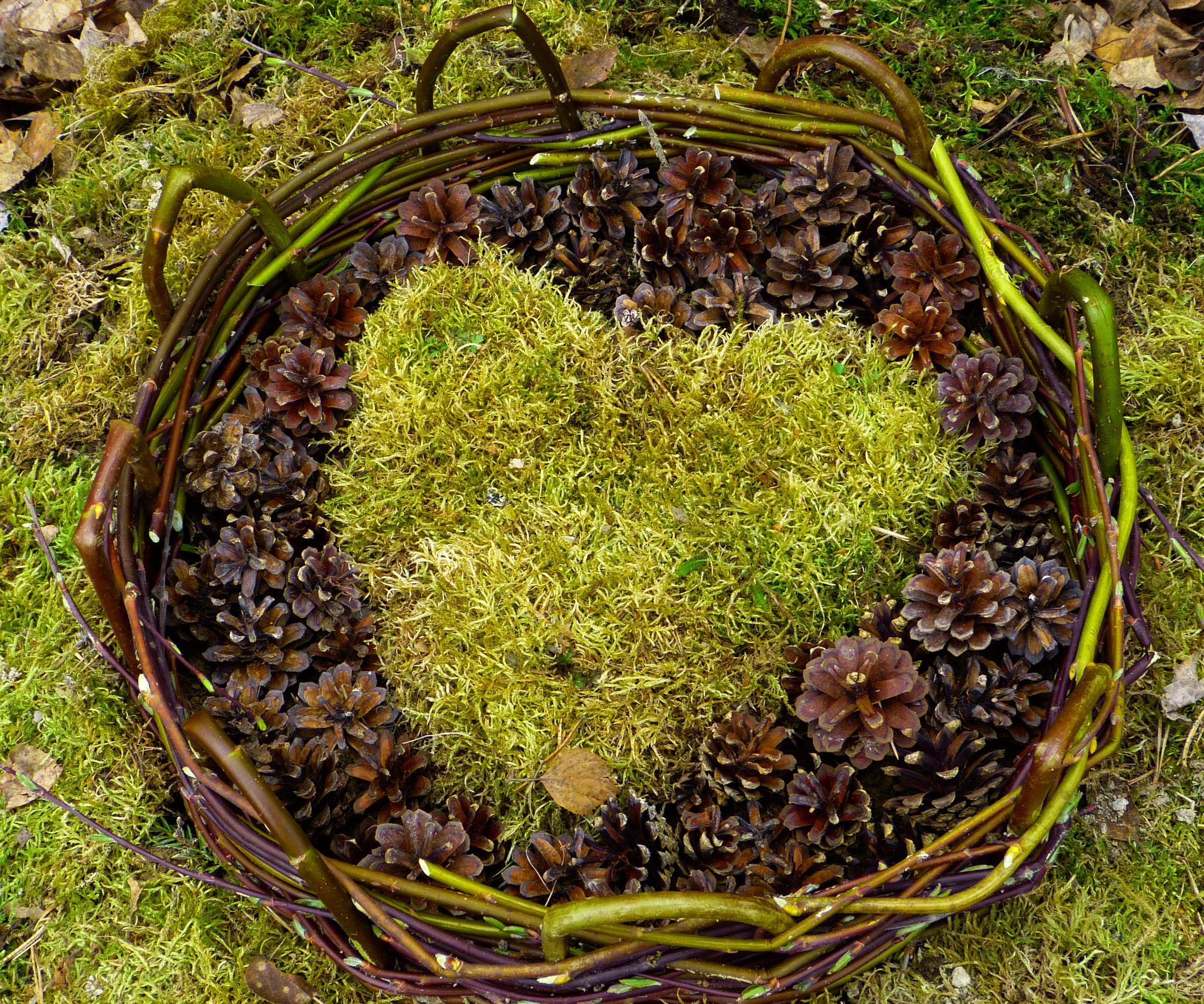 Last Goodbye - Making a Pet Memorial : 12 Steps (with Pictures ...