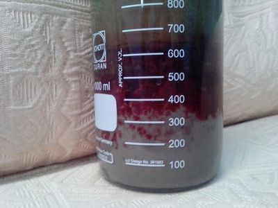 Bacterial Terrarium (AKA Winogradsky Column) : 5 Steps - Instructables