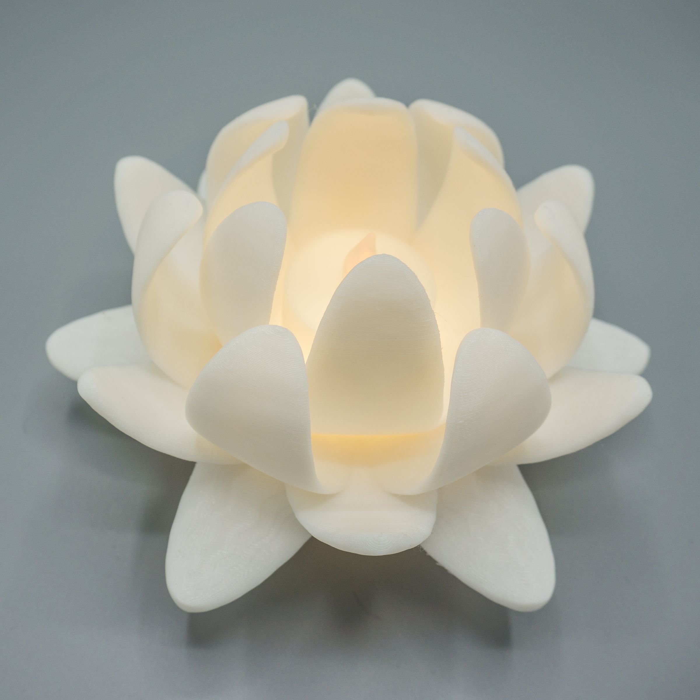 How to Model and Paint a 3D Printed Lotus Flower : 8 Steps (with ...