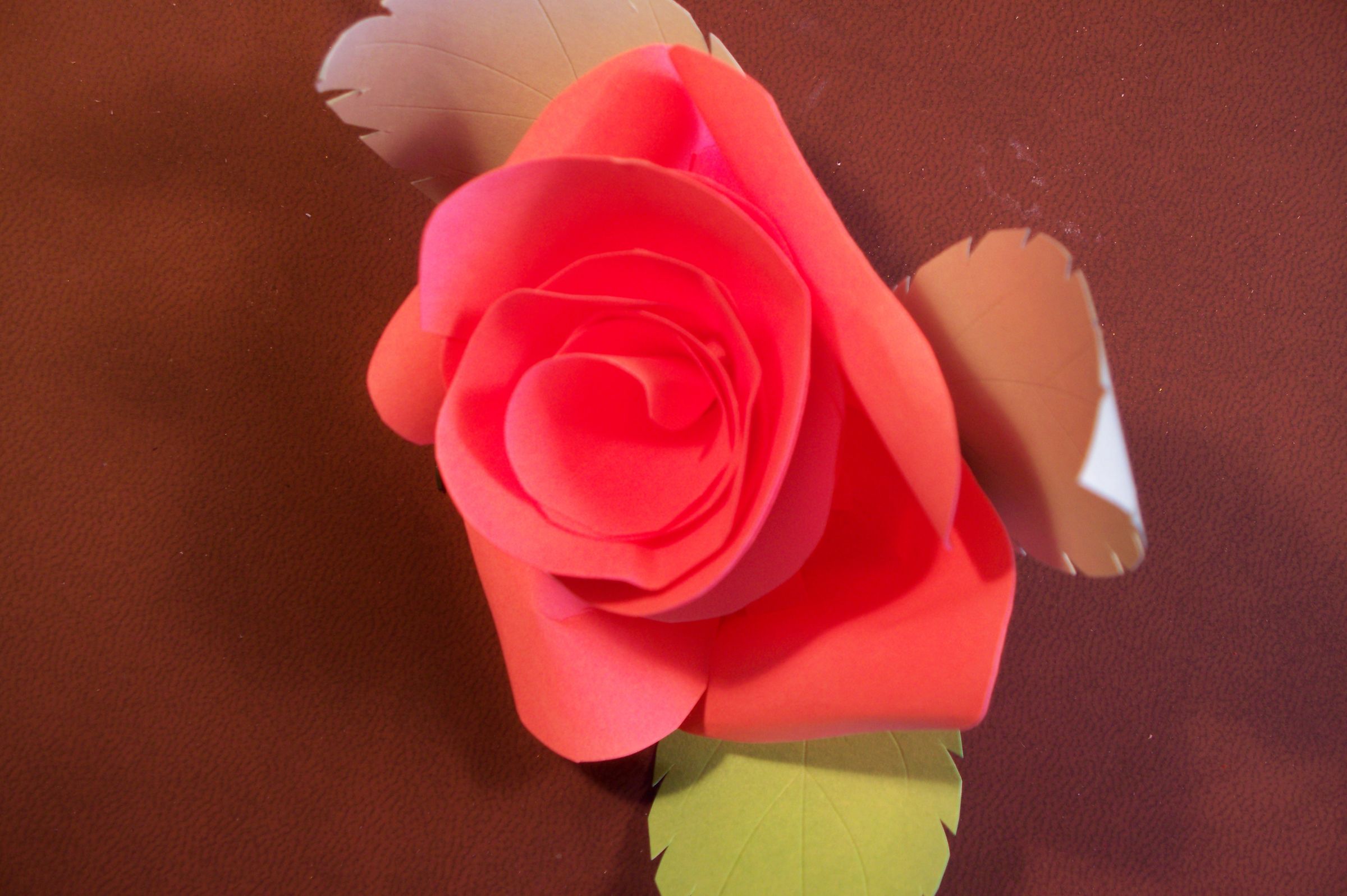 How to Make Paper Roses : 9 Steps (with Pictures) - Instructables