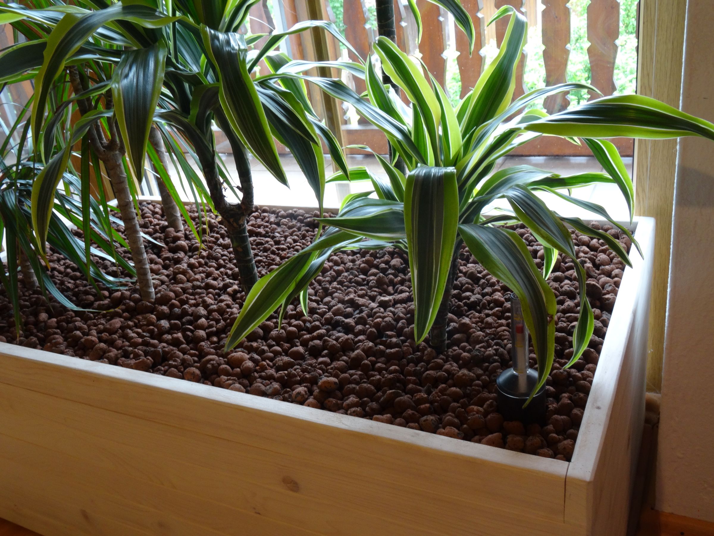 Flower Box With Hydroculture : 7 Steps - Instructables