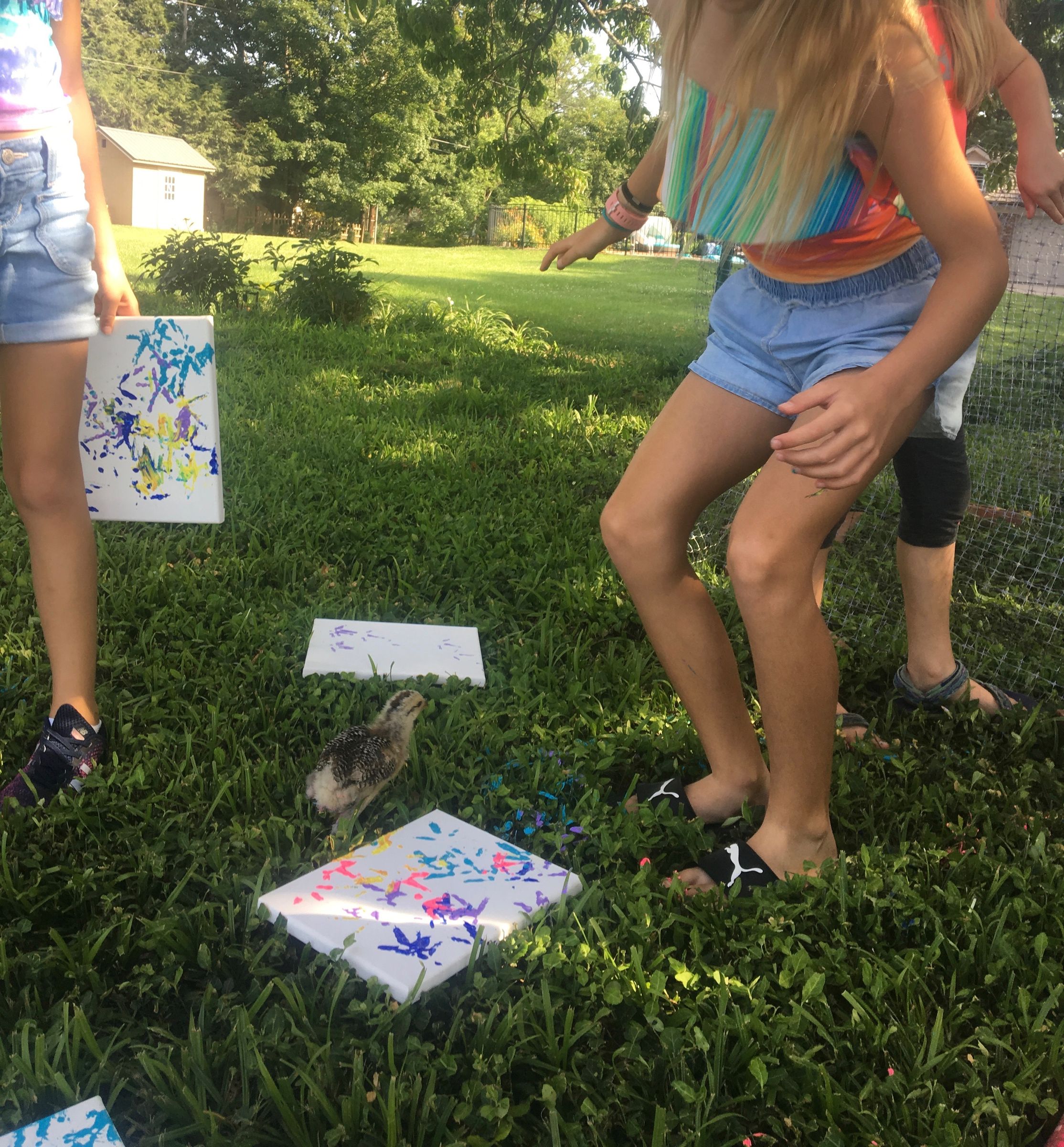 Chick Camp : 6 Steps - Instructables