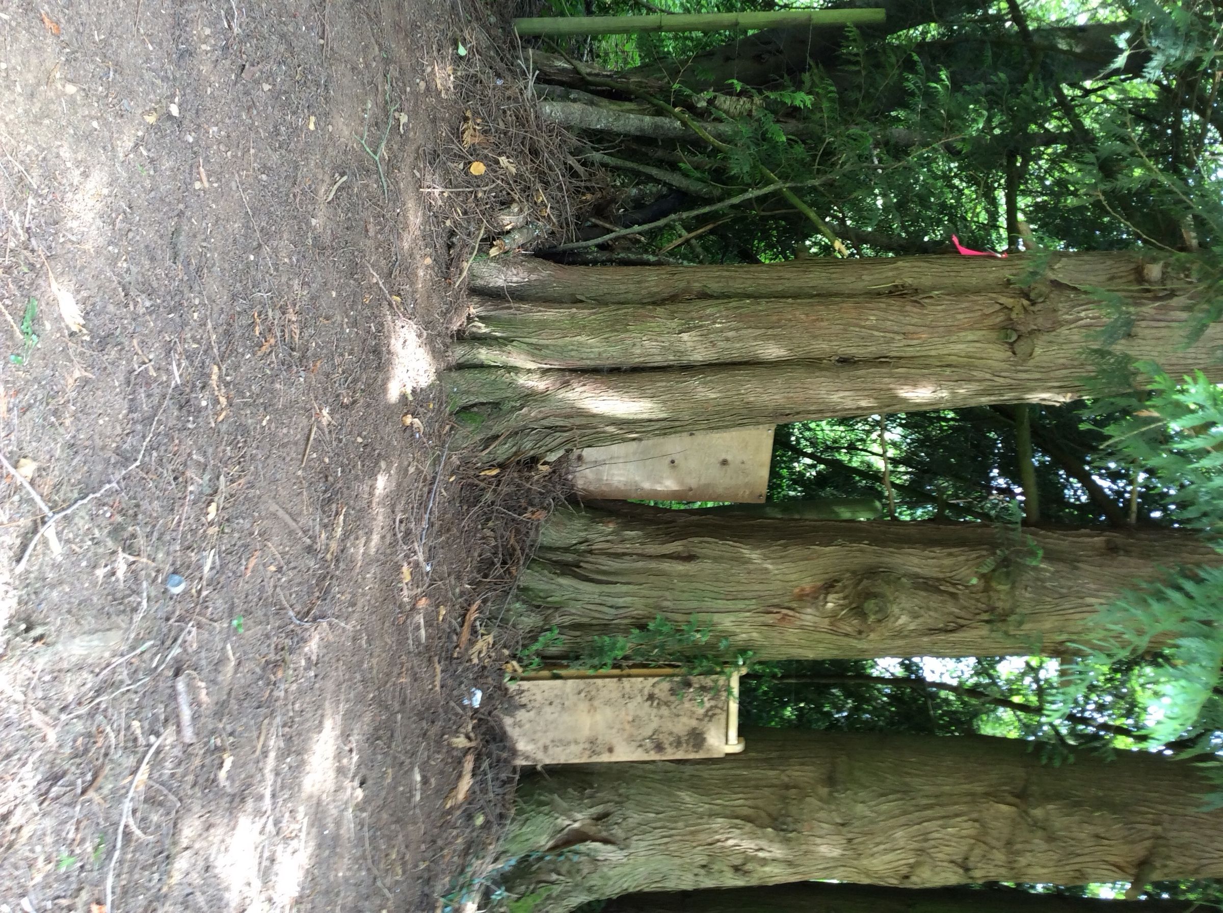 Multi Use Fort / Survival Shelter : 5 Steps - Instructables