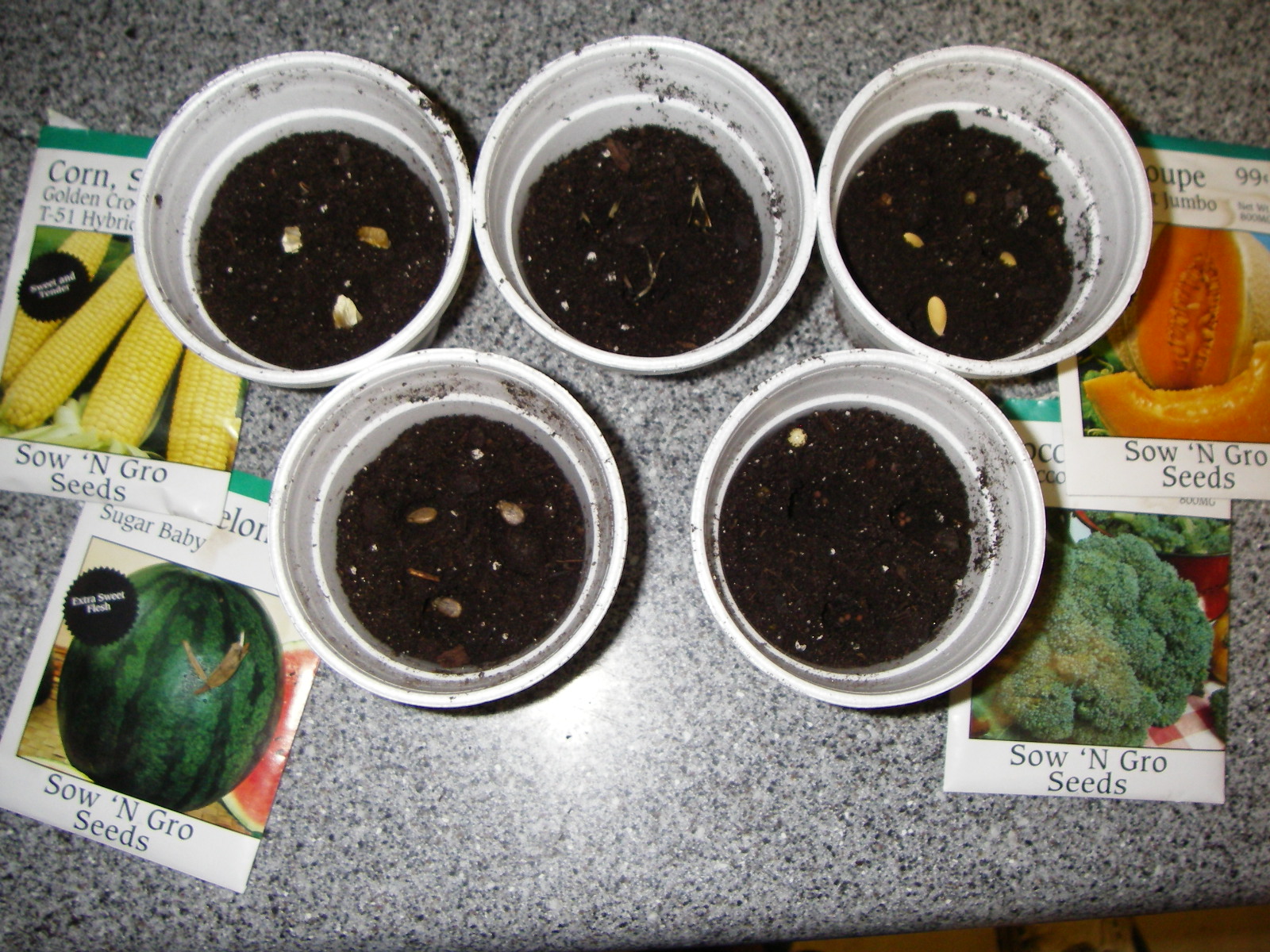 Building a Miniature Greenhouse for $10 : 26 Steps - Instructables