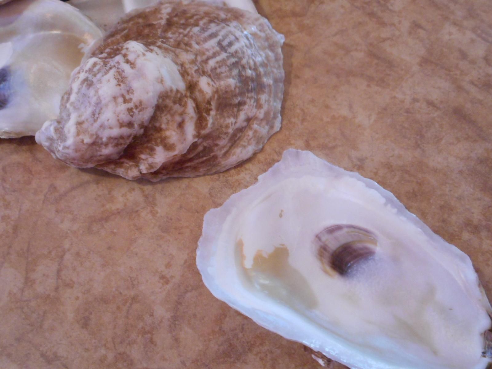 Oyster Shell Name Pins (or Place Cards) : 6 Steps - Instructables