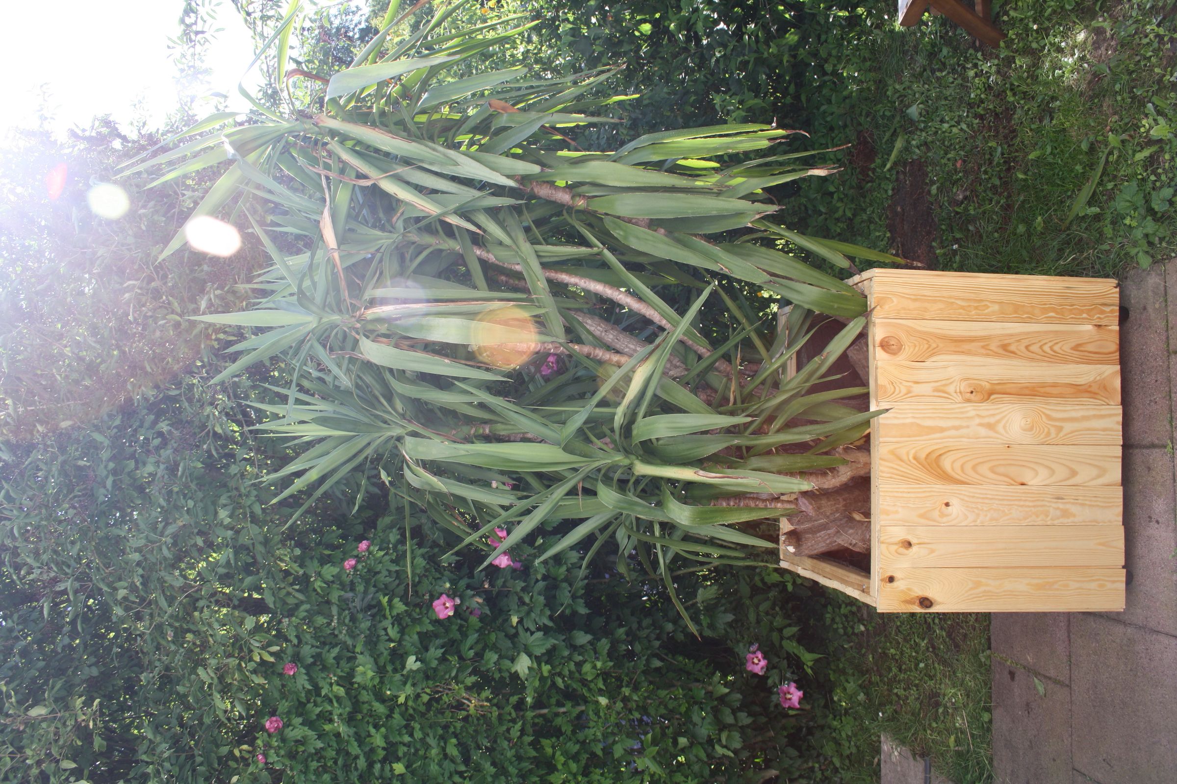 DIY Wood Planter : 13 Steps (with Pictures) - Instructables