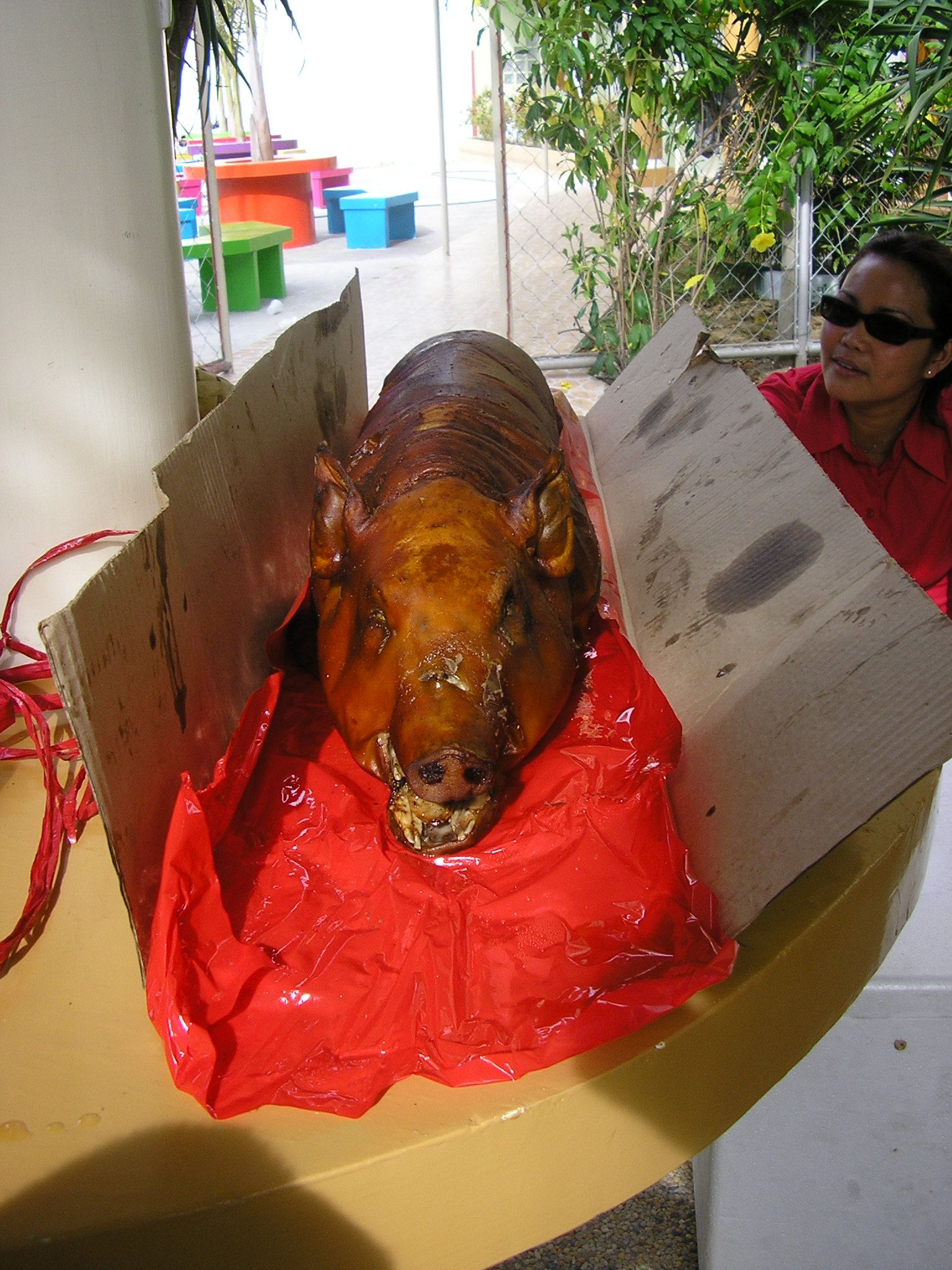 Cook a Whole Roast Pig - Lechon Baboy : 7 Steps (with Pictures ...