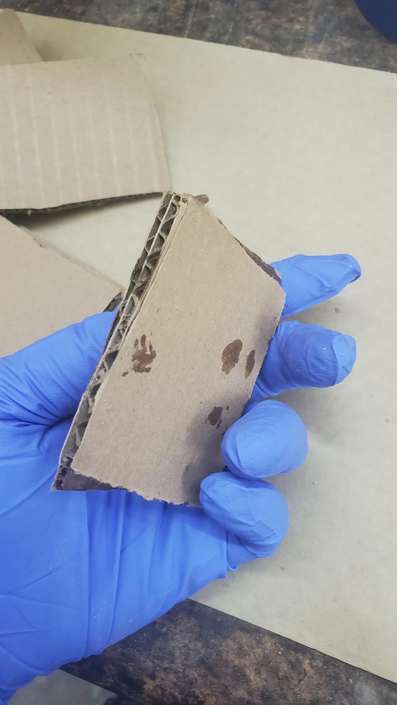 Carboard Rings : 10 Steps (with Pictures) - Instructables