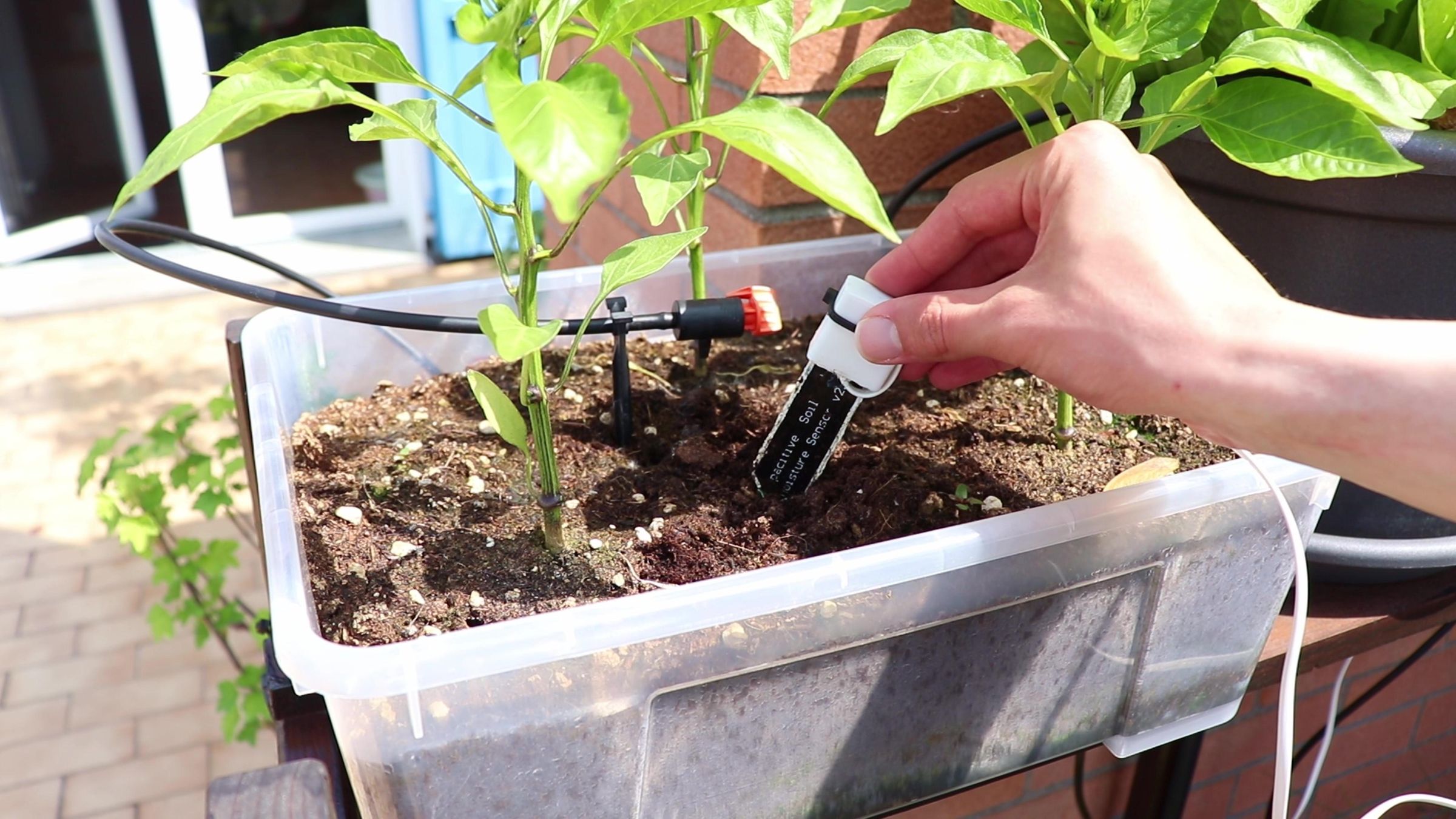 ESP32 Soil Moisture Sensors - DIY Automatic Watering System : 9 Steps ...