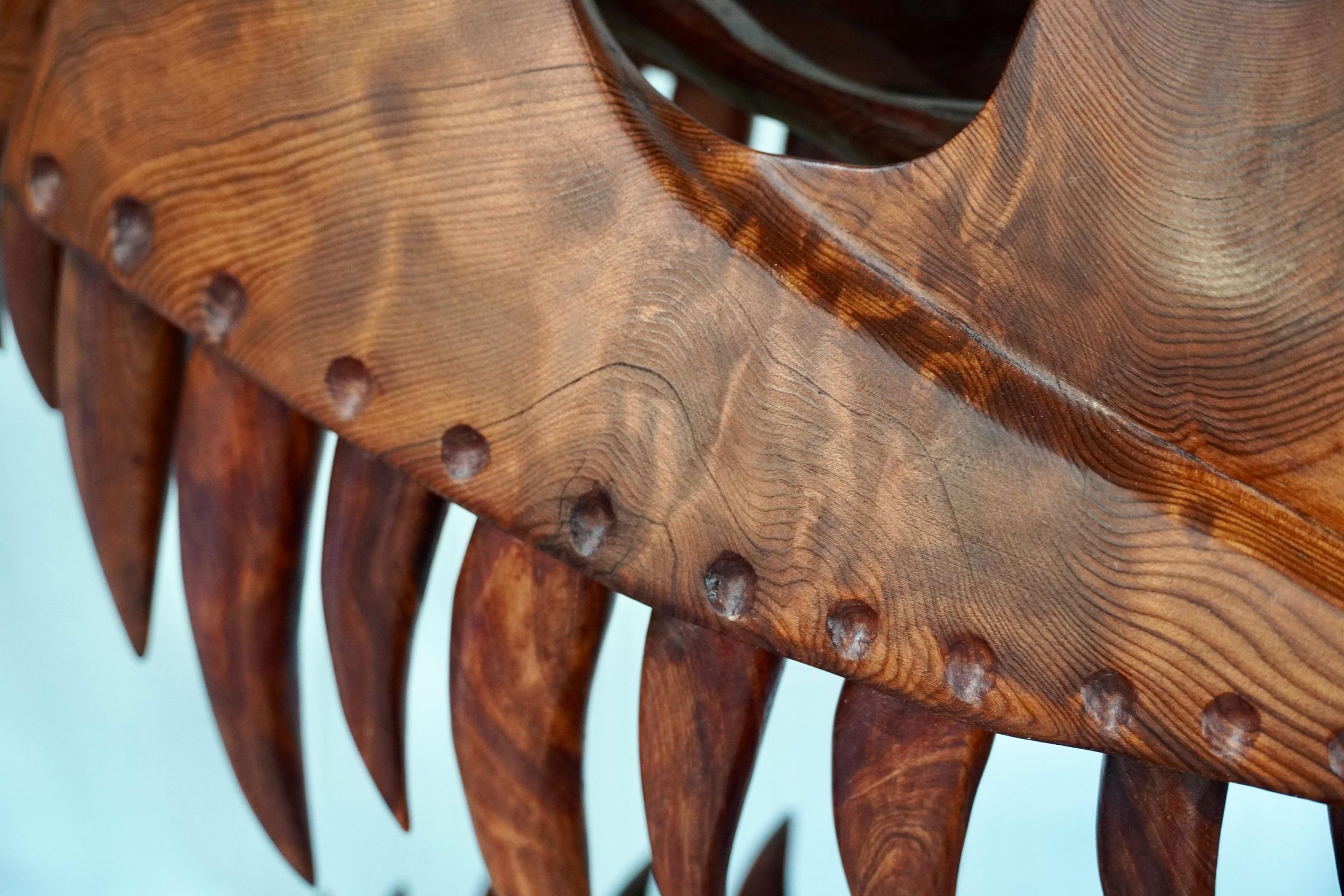 T-Rex Skull Carved From Ancient Wood : 9 Steps (with Pictures ...