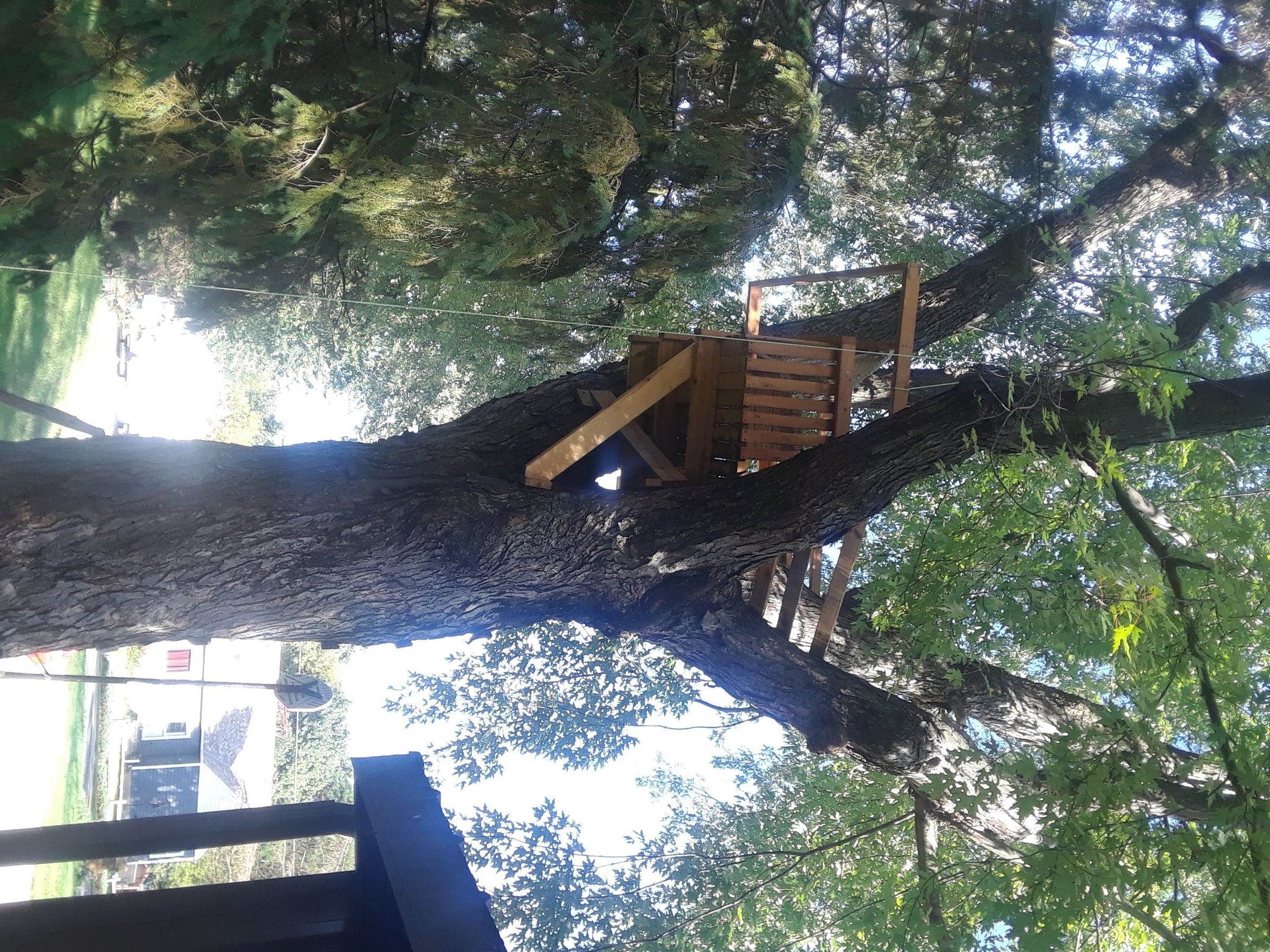 Tree House With Bench and Pulley System : 11 Steps - Instructables