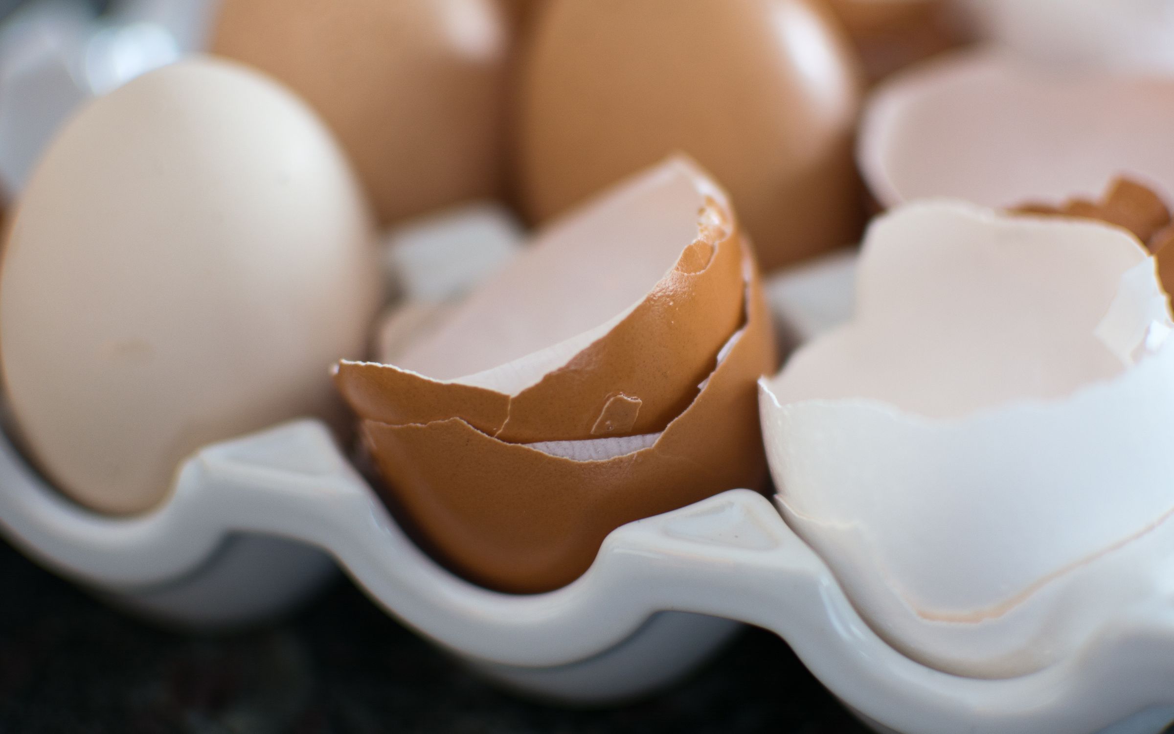 Eggs : 12 Steps - Instructables