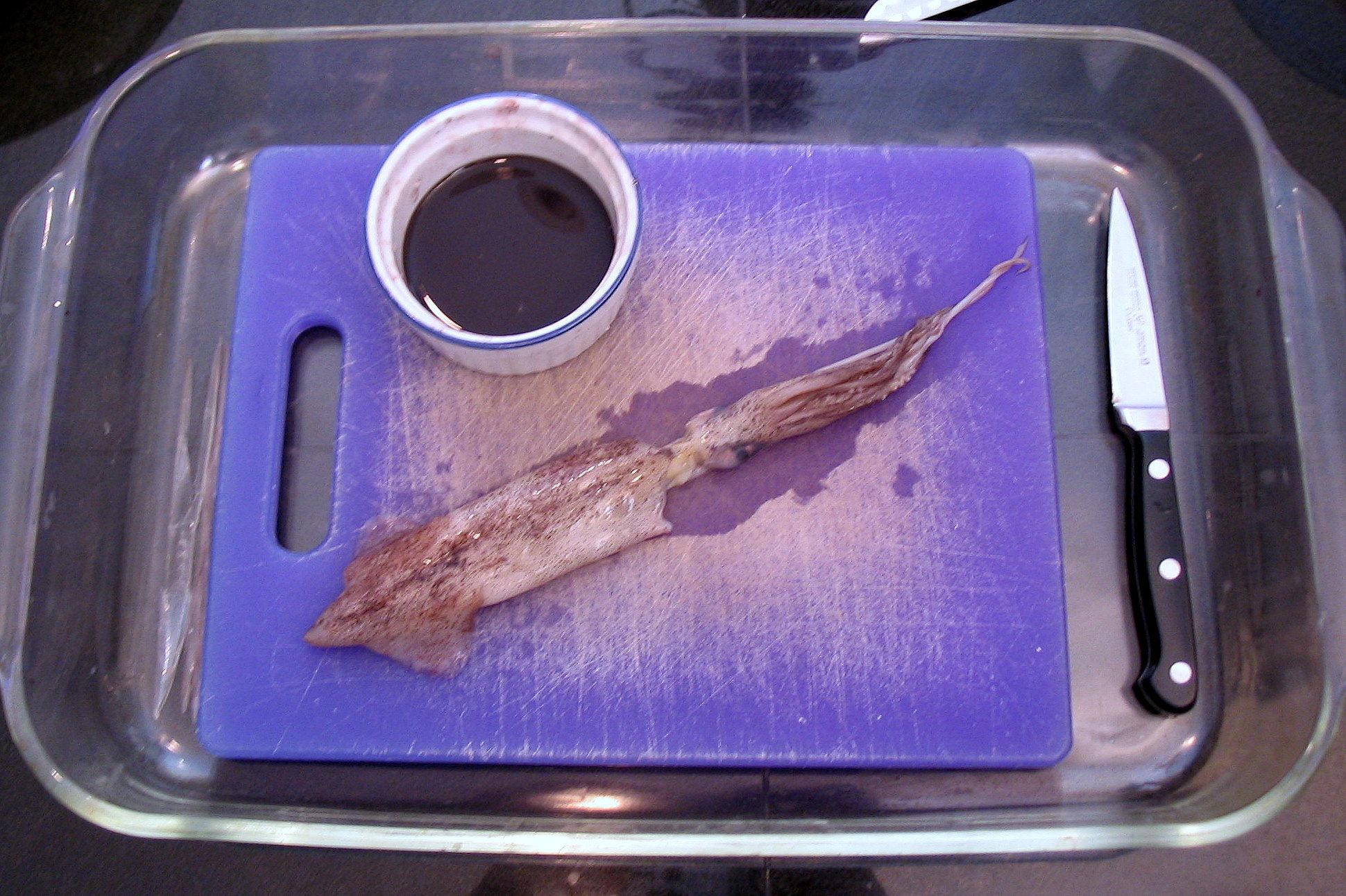How to Harvest Squid Ink : 7 Steps (with Pictures) - Instructables