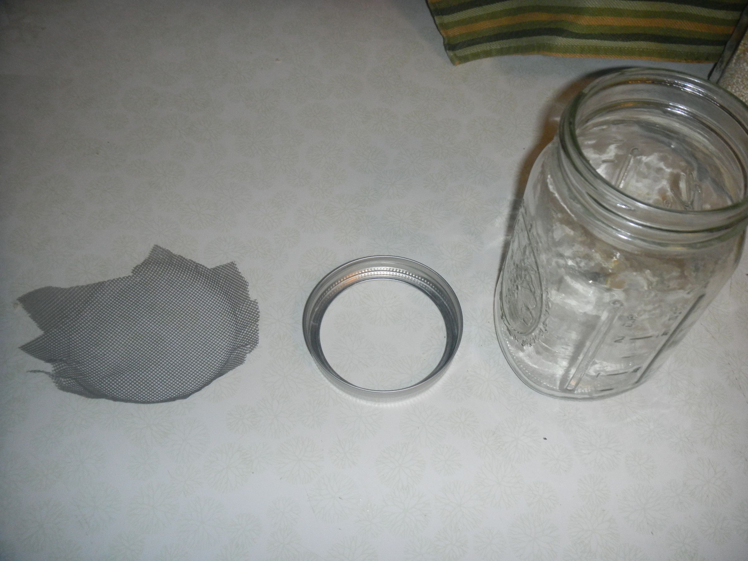 Sprout Quinoa : 4 Steps (with Pictures) - Instructables