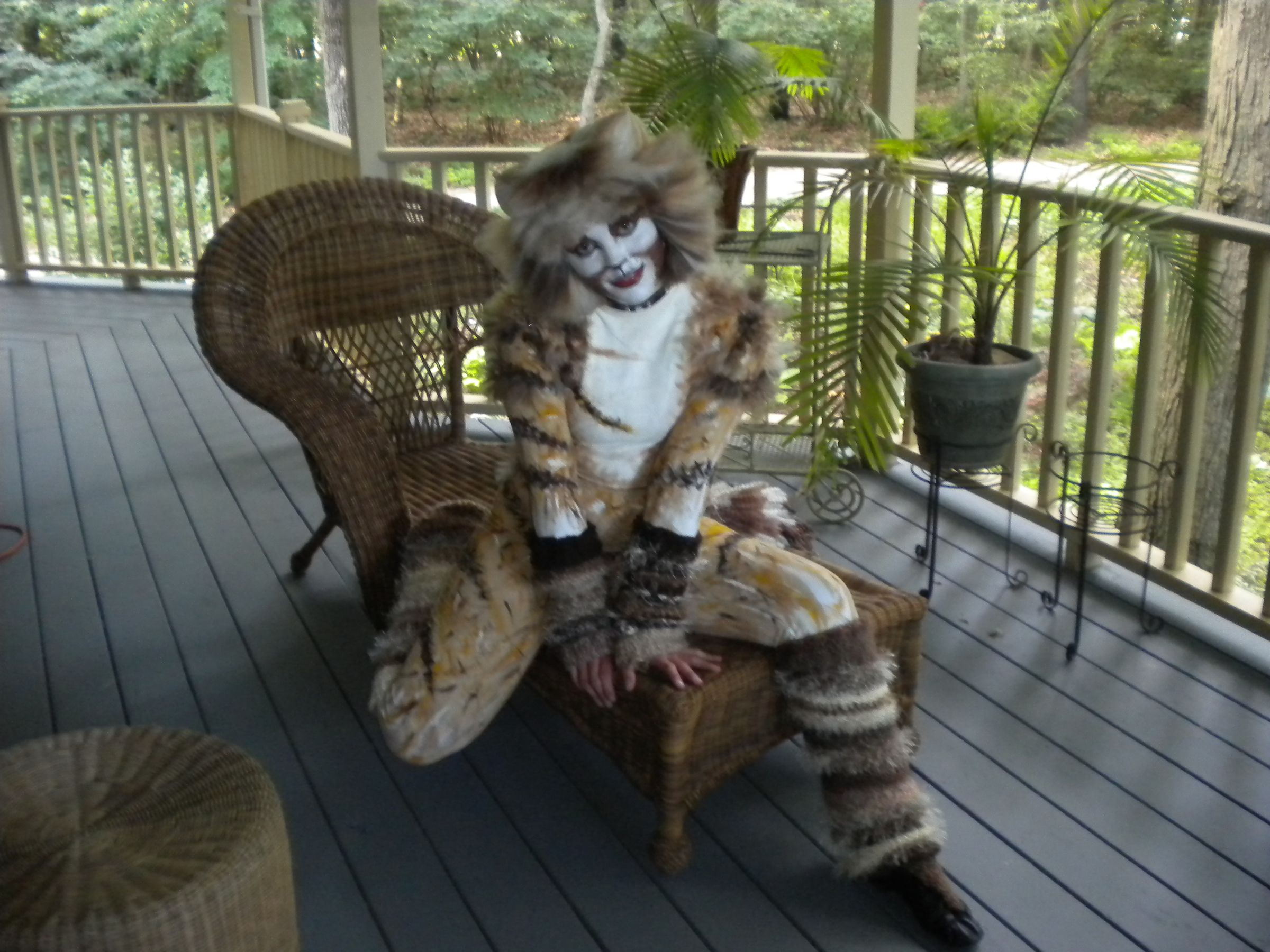 Cats Musical Costume - Instructables