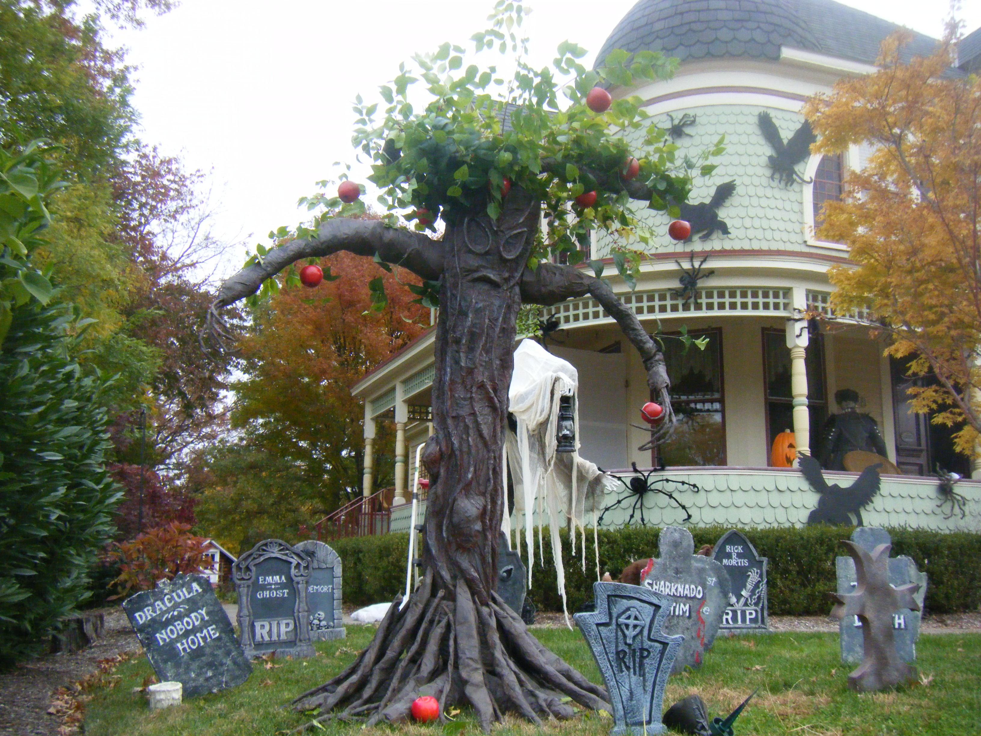 From Apple Tree to Whomping Willow : 6 Steps (with Pictures ...