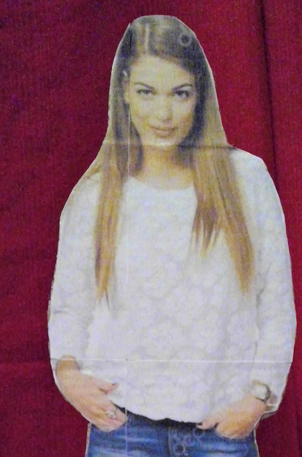 How to Make a Cardboard Cutout : 11 Steps - Instructables