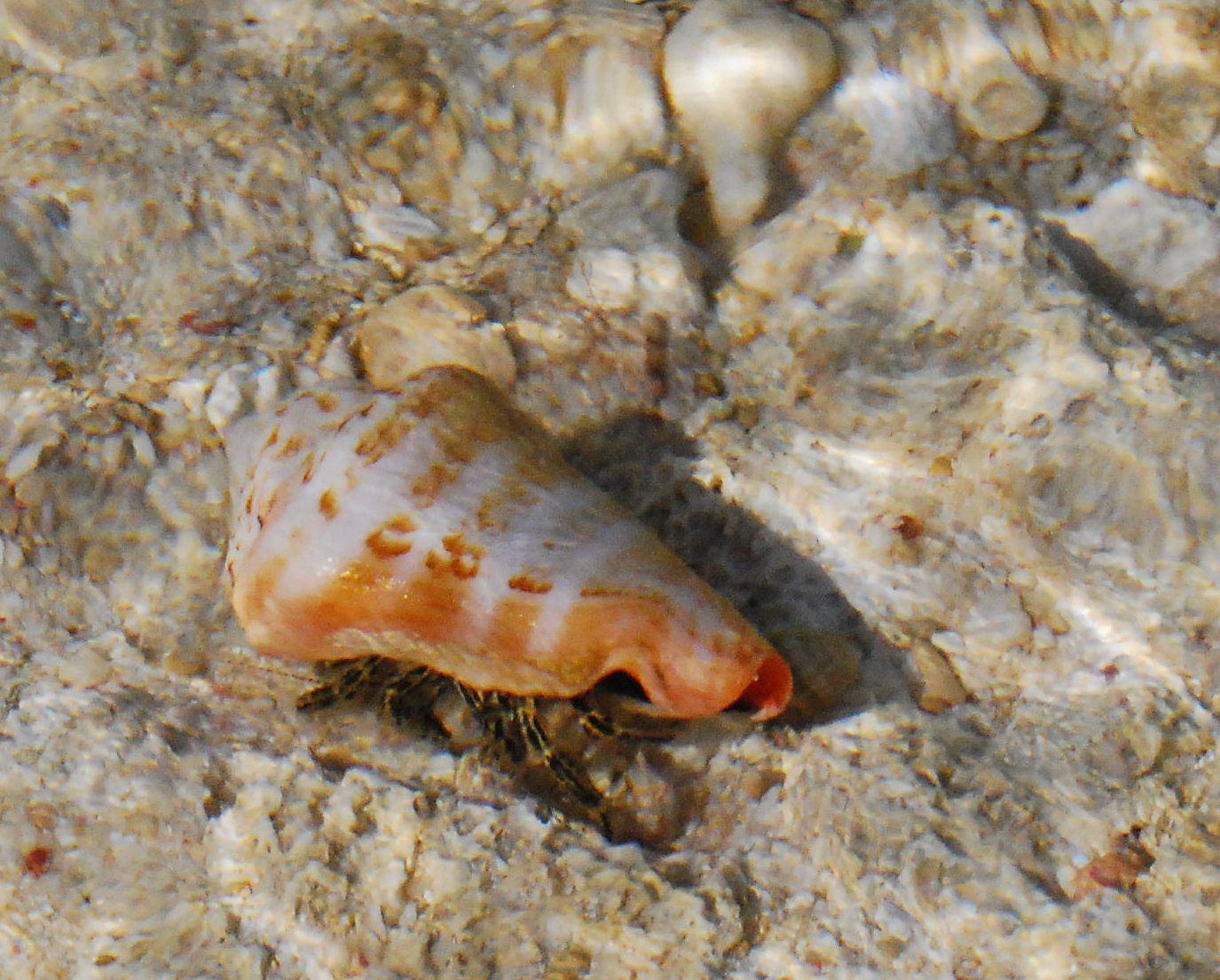 Guide to Beach Combing : 4 Steps (with Pictures) - Instructables