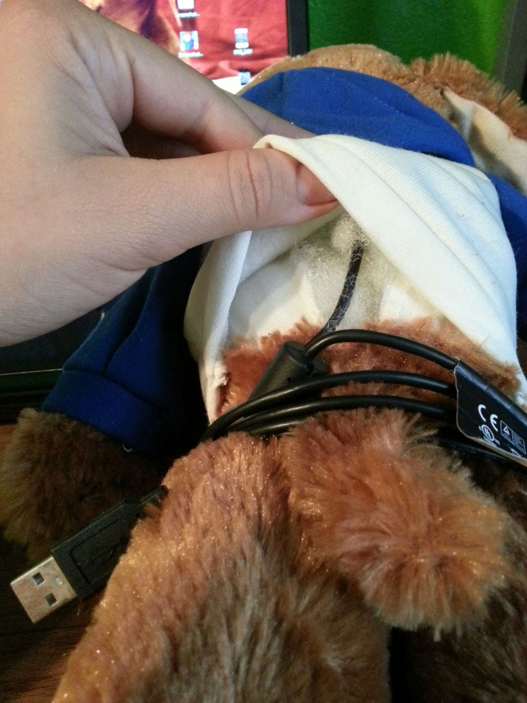 Spy Bear : 5 Steps - Instructables