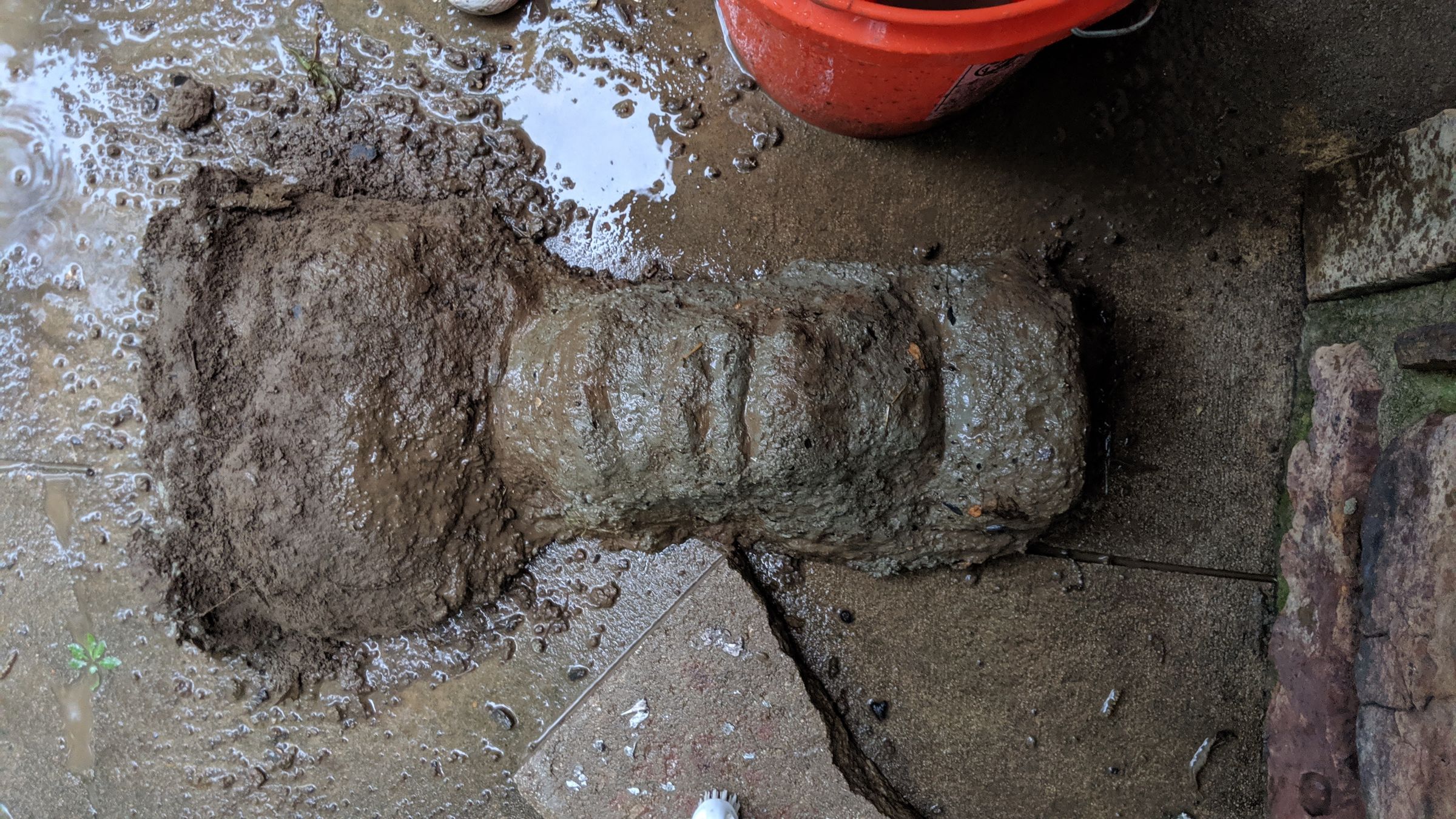 Make a Lawn Statue, Copied From (almost) Anything : 3 Steps (with ...