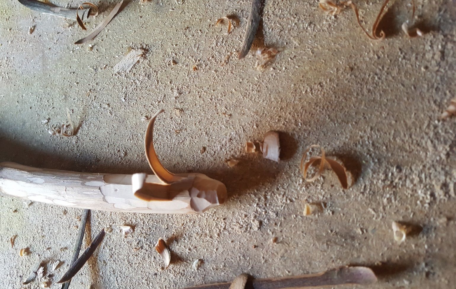 The Simple Realistic Wooden Flower : 8 Steps (with Pictures ...