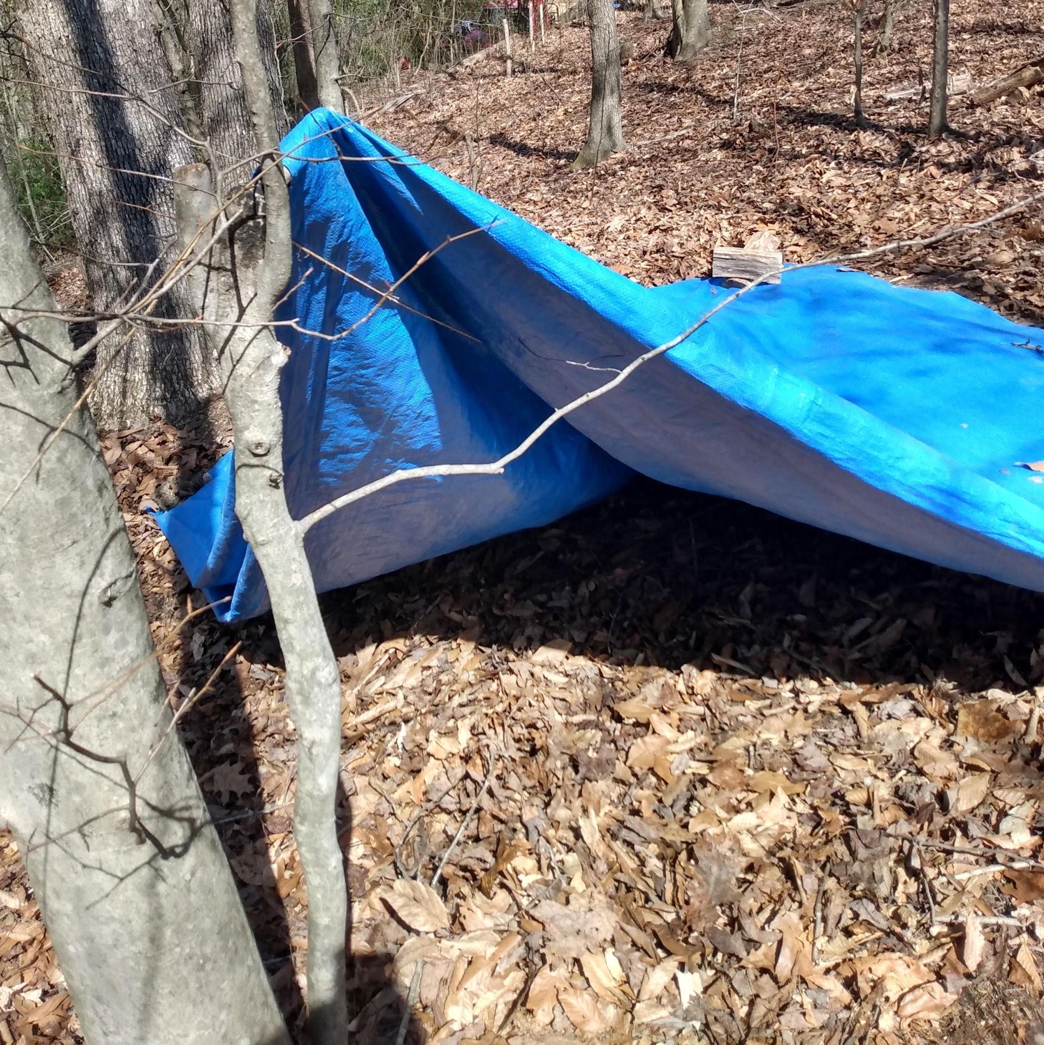 DIY Tarp Shelter : 4 Steps - Instructables