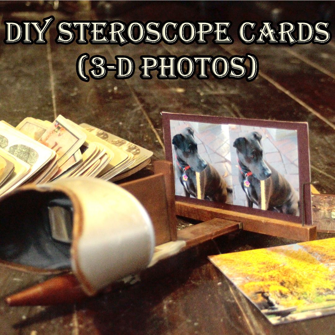 DIY Stero Card / Steroscopic Slides (3-D Photos!) : 6 Steps (with ...