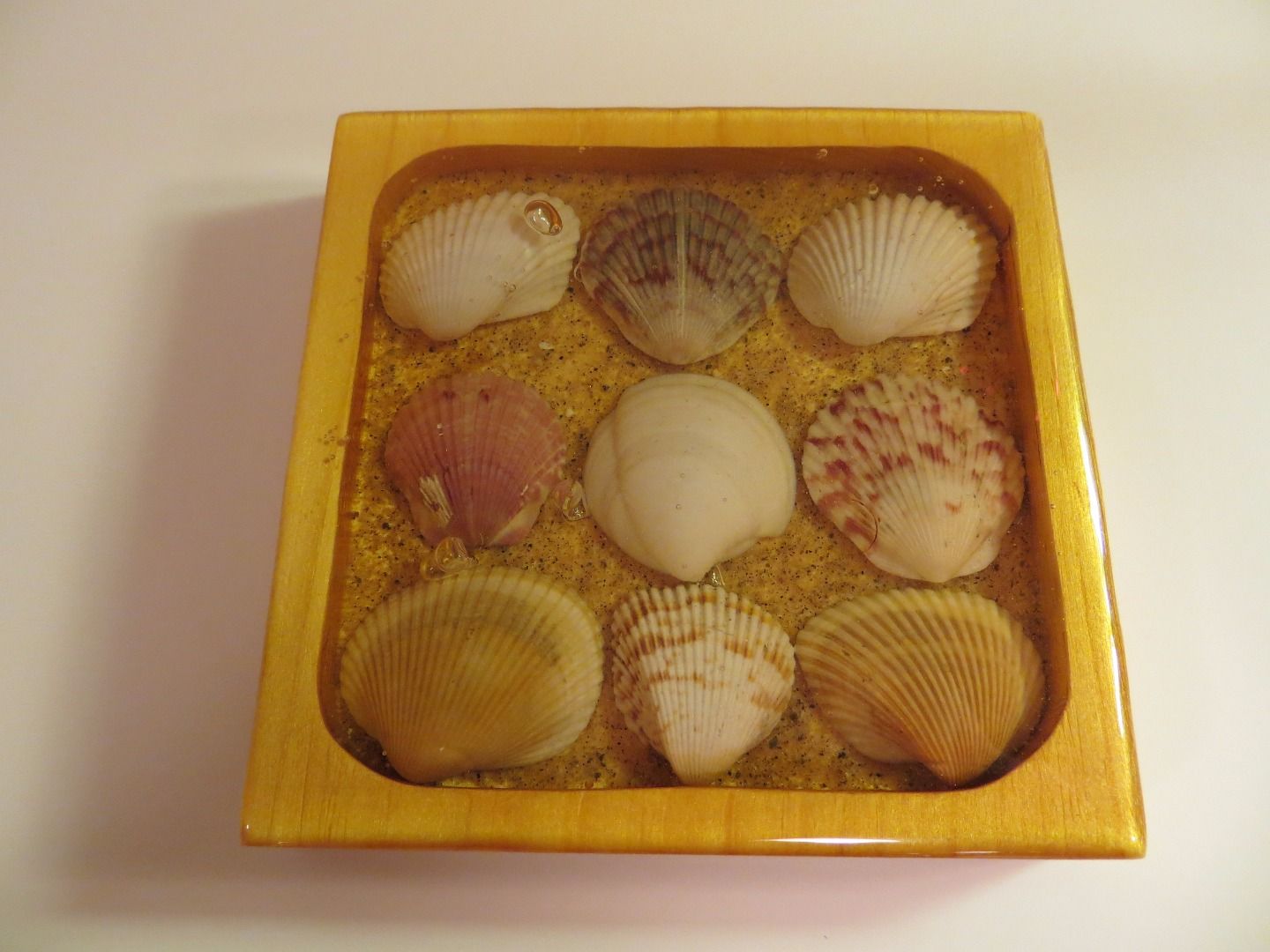 Sea Shell Drink Coaster : 6 Steps - Instructables