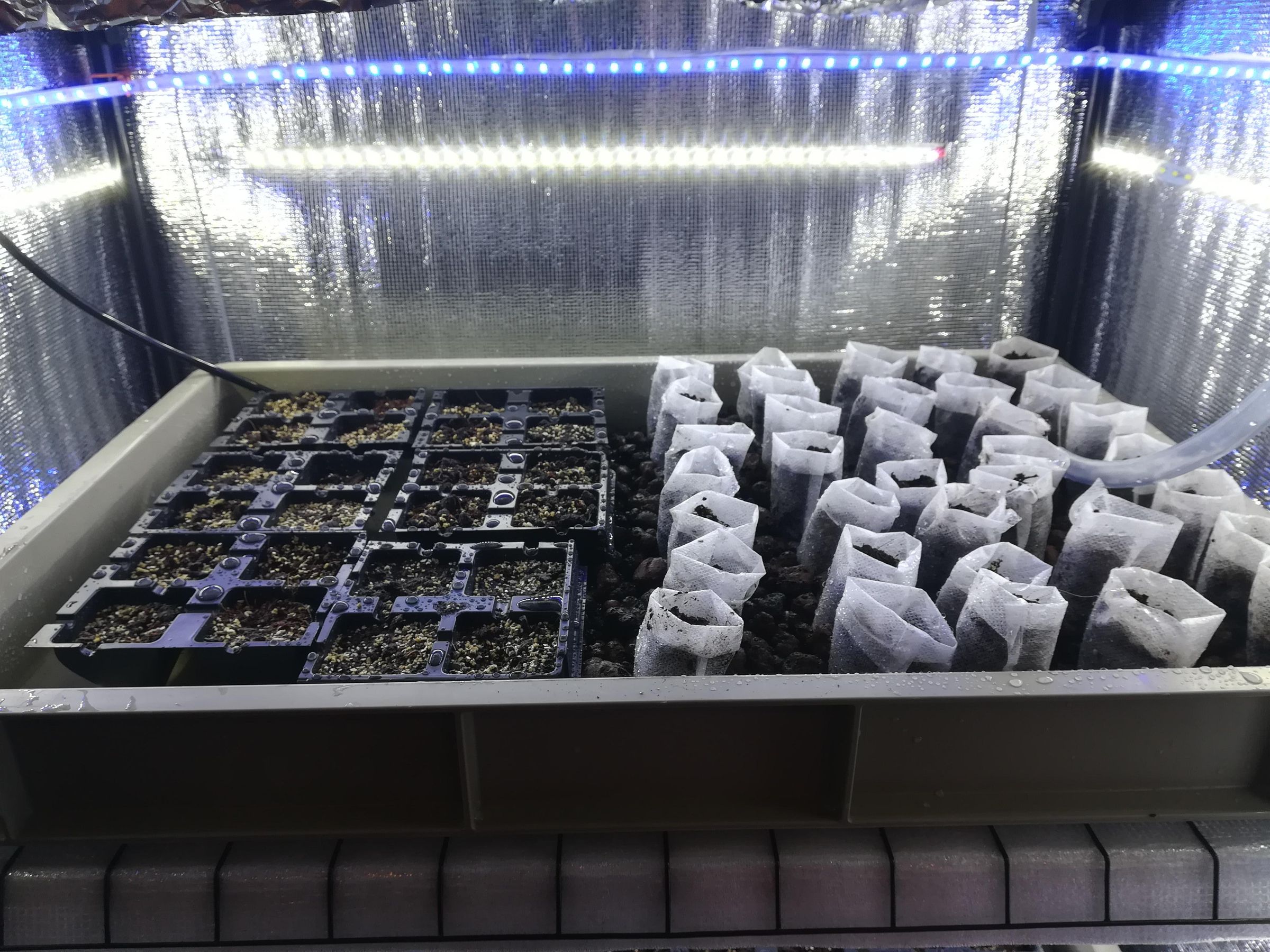 Automated IoT Propagator : 4 Steps - Instructables