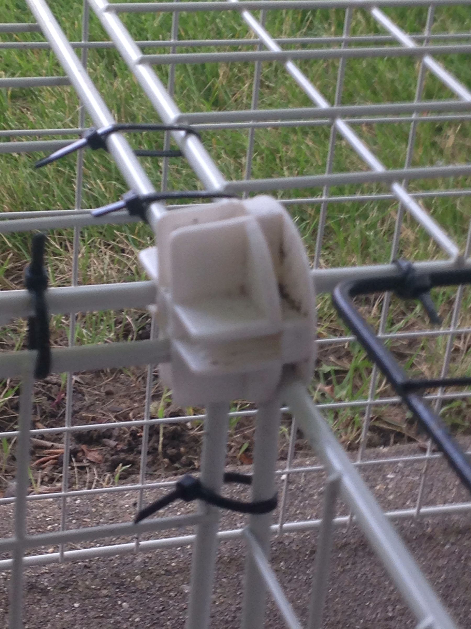 DIY Cat Run : 5 Steps - Instructables