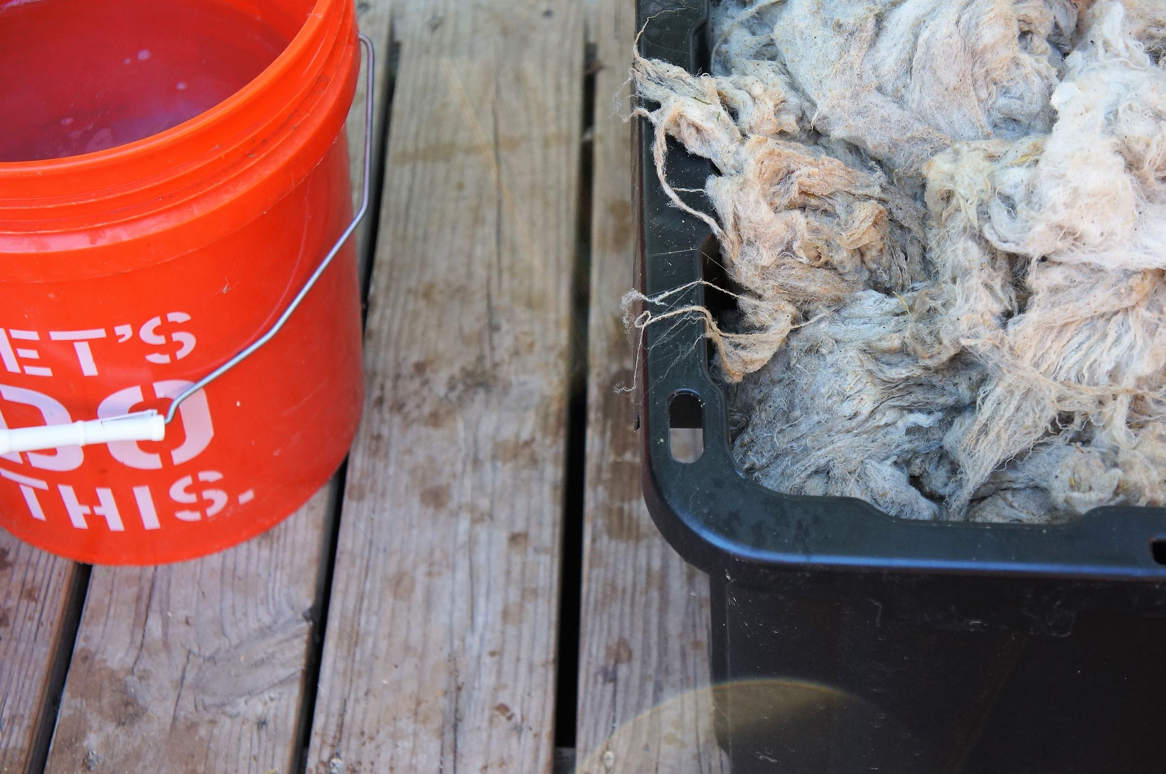 How to Process Card and Dye Raw Wool : 12 Steps (with Pictures ...